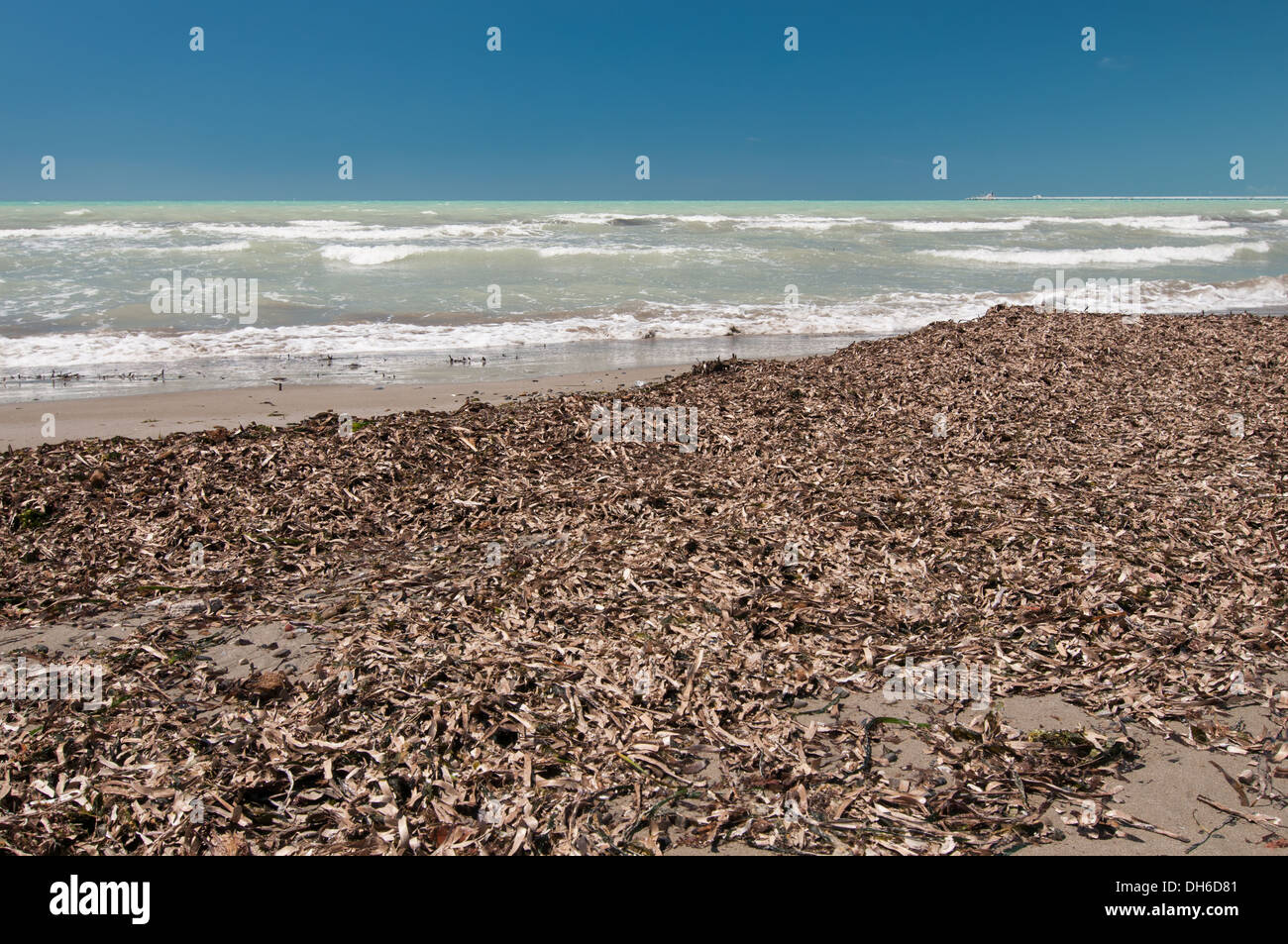 Uncleared water hi-res stock photography and images - Alamy