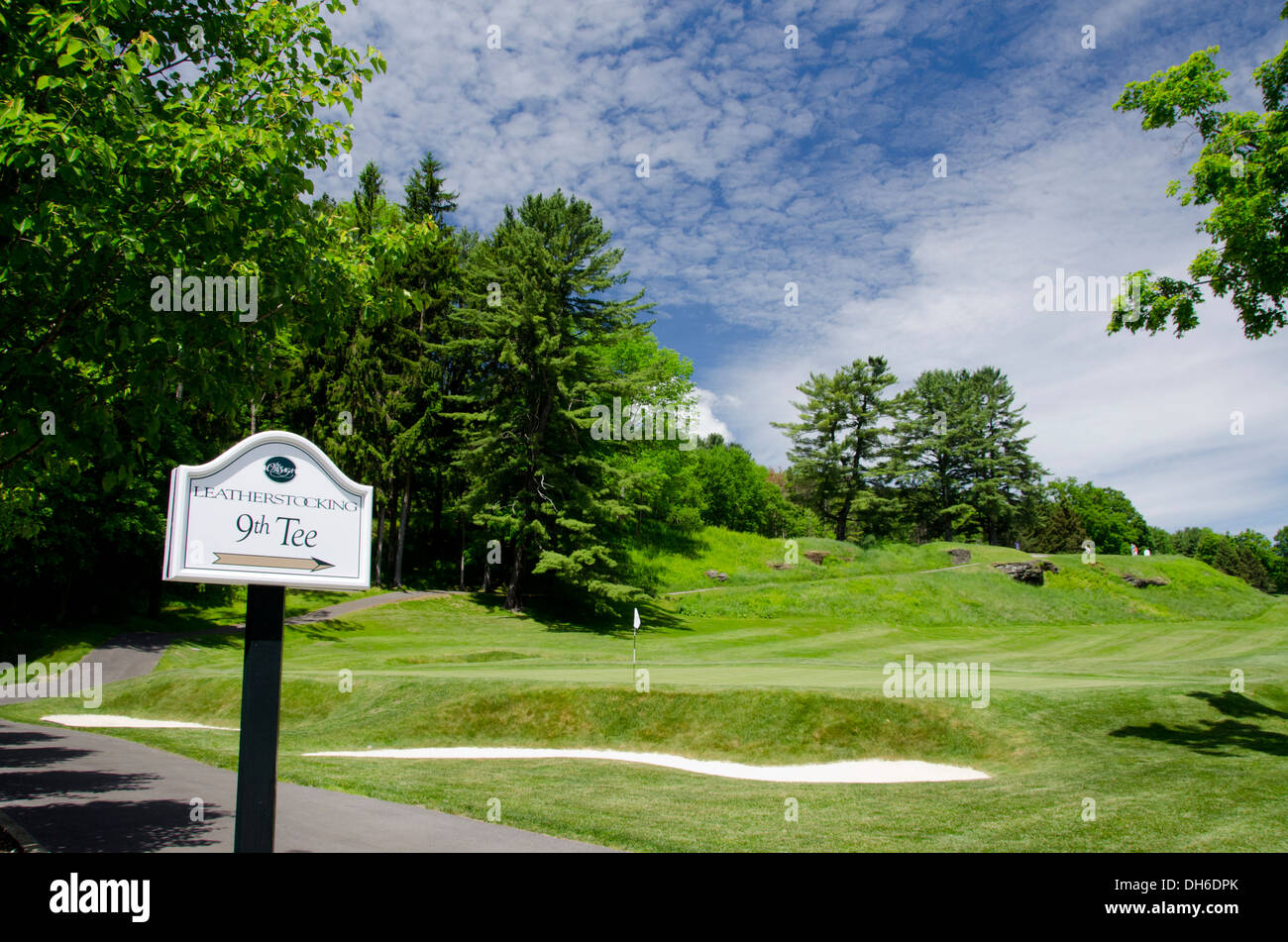 Gold golf tee hi-res stock photography and images - Alamy