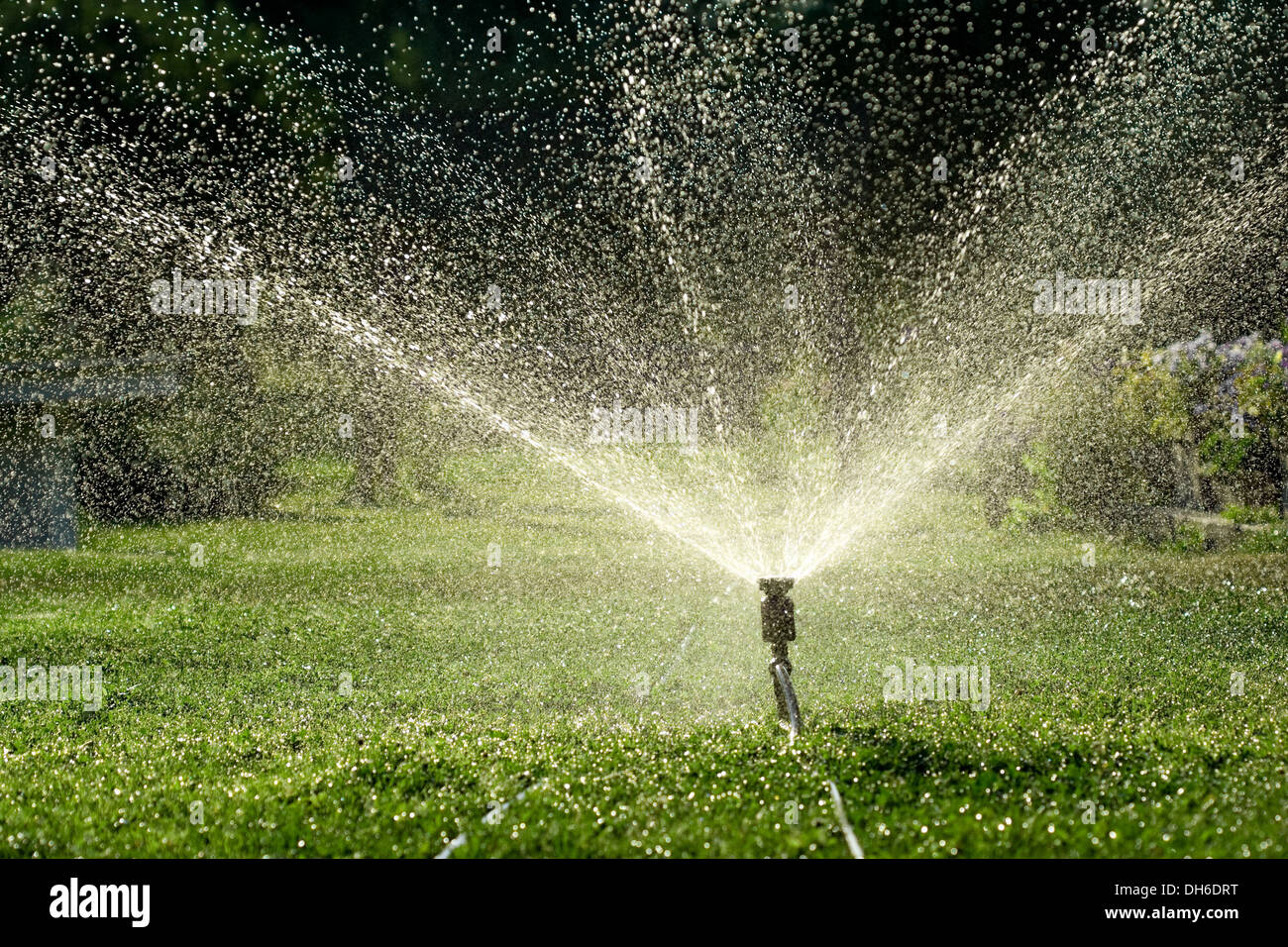 Water sprinkler irrigation system drops hi-res stock photography and ...
