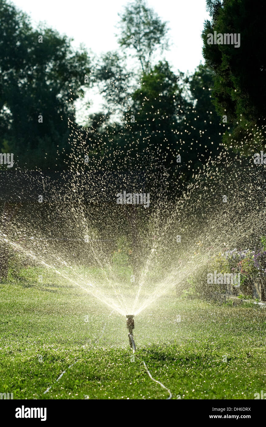 Drop Irrigation High Resolution Stock Photography and Images - Alamy