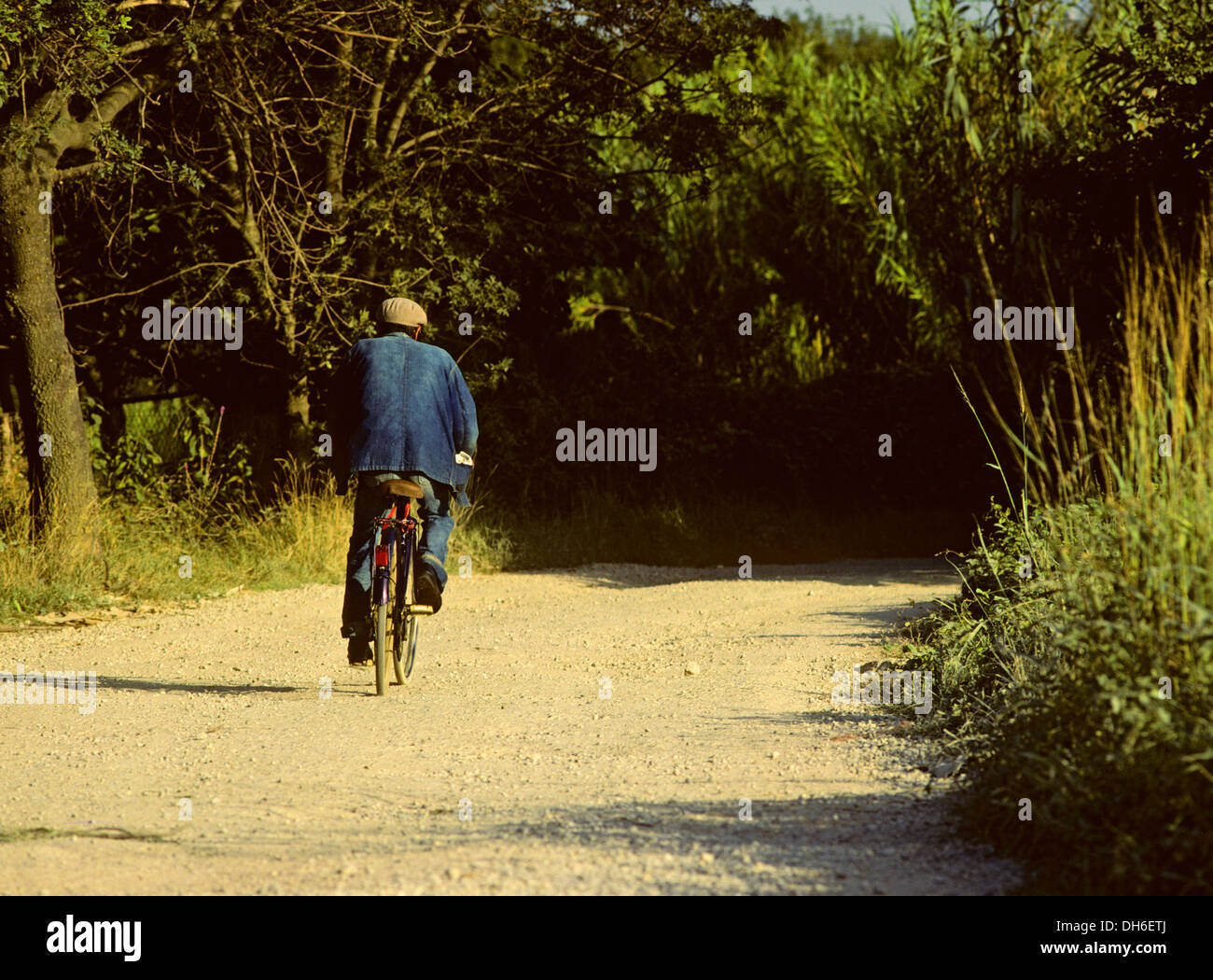 Provence farm worker cycling home from work, 1979 Stock Photo - Alamy