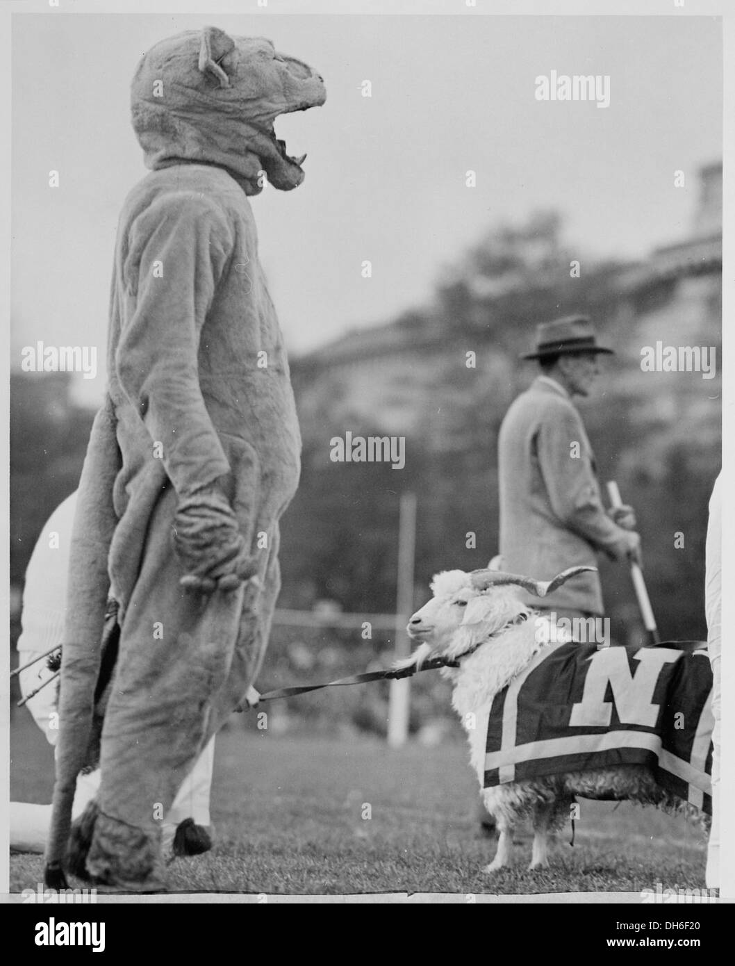 This photograph captures the mascots of Penn State and Navy at the Penn ...