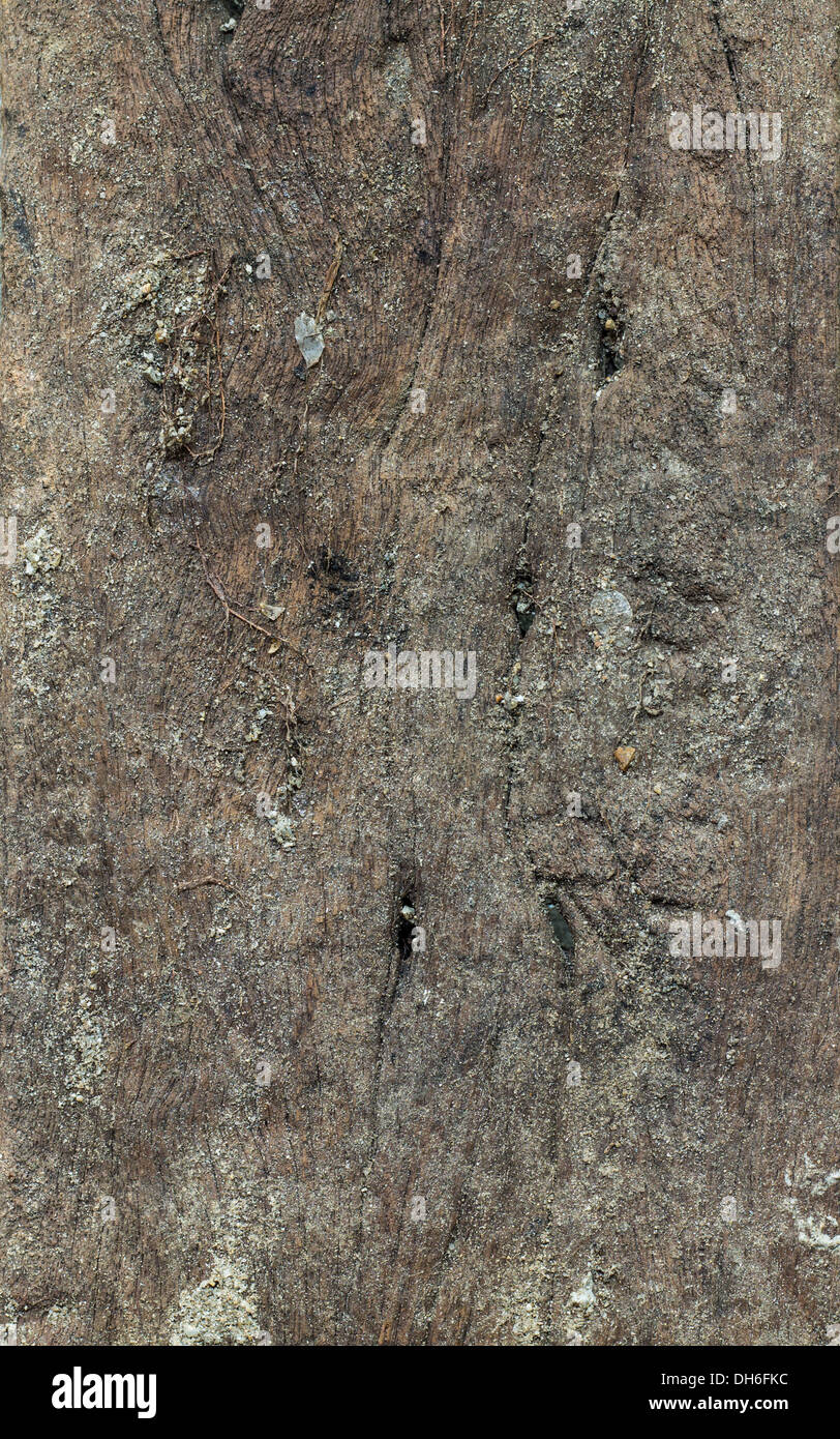 Weathered wall hi-res stock photography and images - Alamy