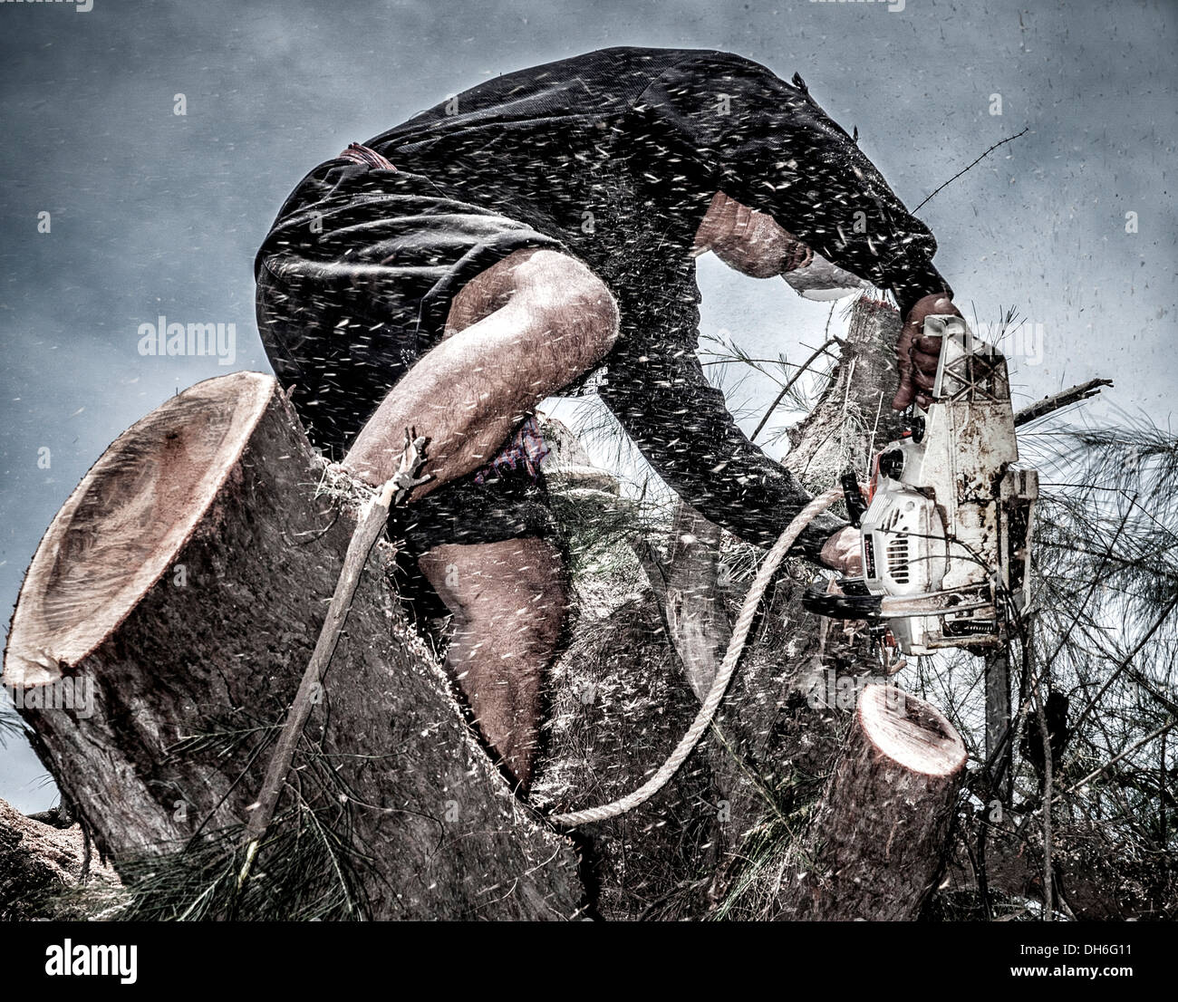 Tree surgeon using a chainsaw to fell a tree. Thailand S. E. Asia Stock ...