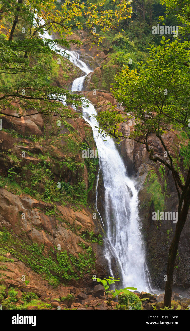 Manatial de agua hi-res stock photography and images - Alamy
