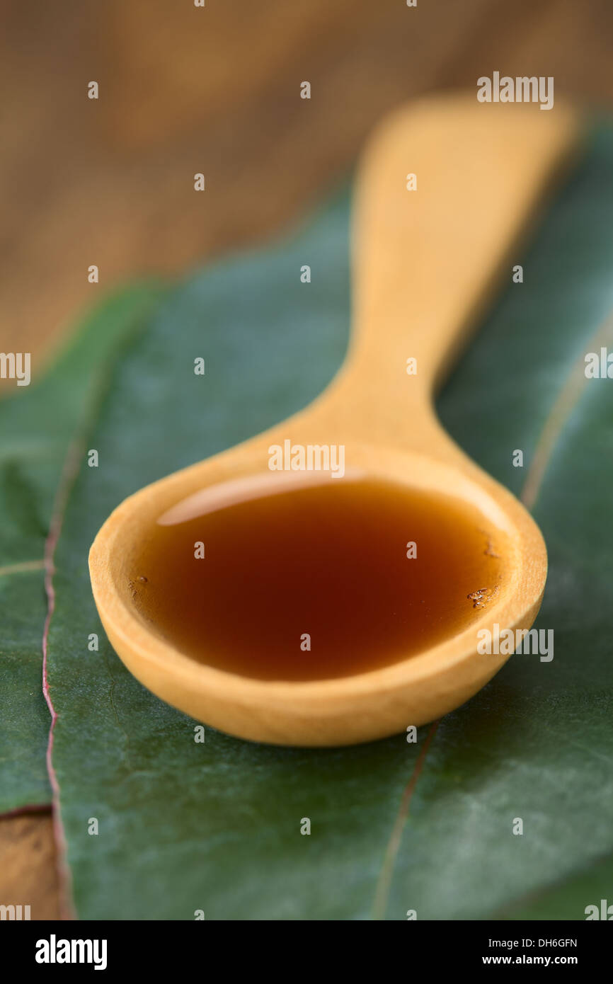 Eucalyptus cough syrup on wooden spoon on fresh Eucalyptus leaves (Very ...