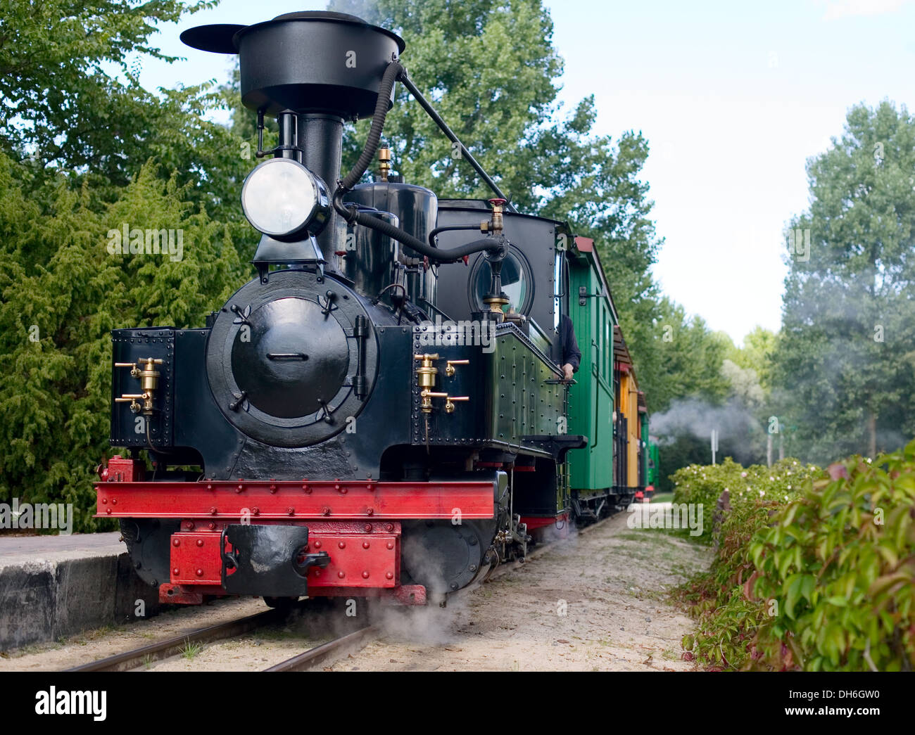 The old train is railing through forest Stock Photo - Alamy