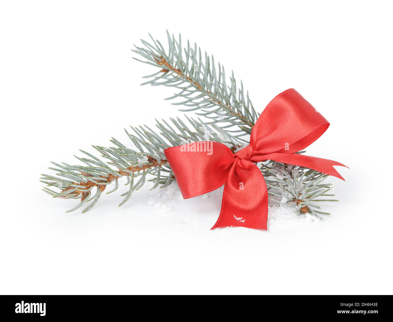 blue spruce twig with ribbon bow, isolated on white background Stock ...
