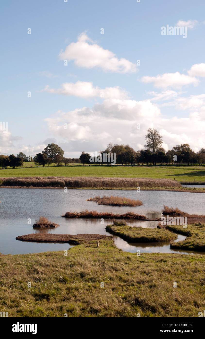Upton warren nature reserve hi-res stock photography and images - Alamy