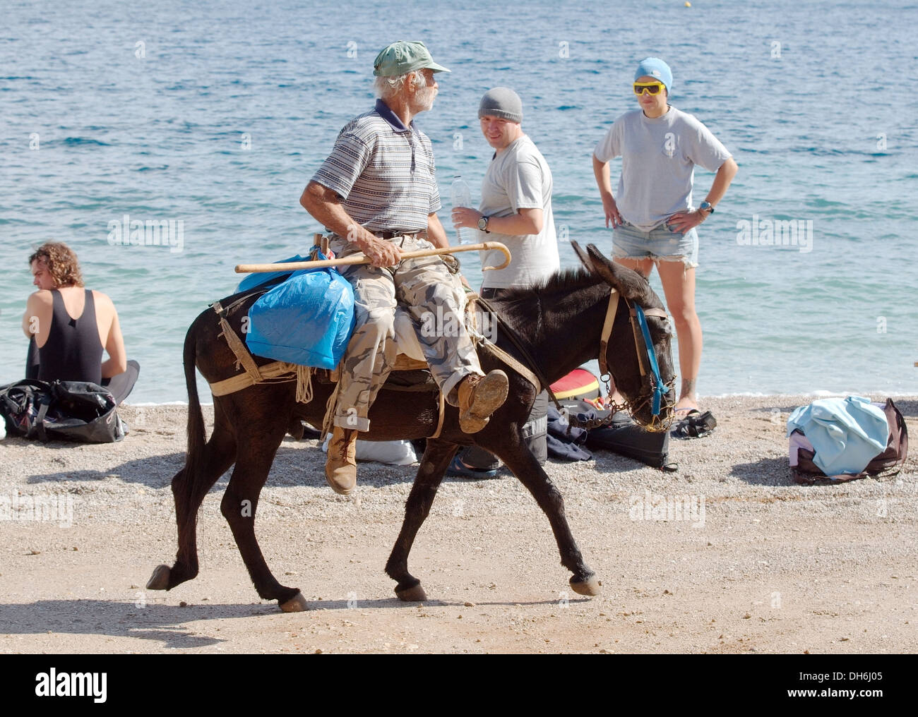 Donkey on beach hi-res stock photography and images - Alamy