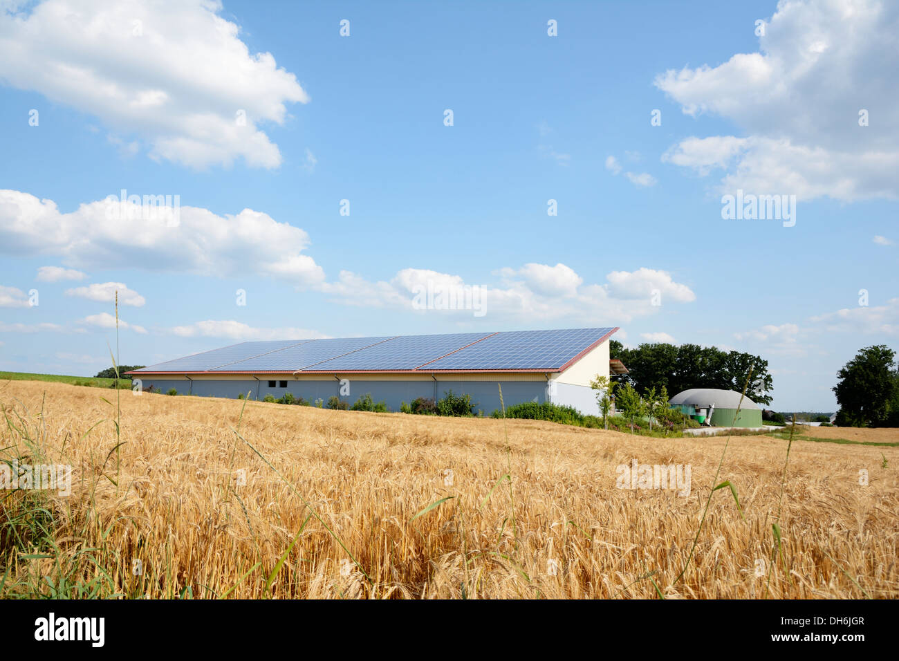 The wheat barn roof hi-res stock photography and images - Alamy