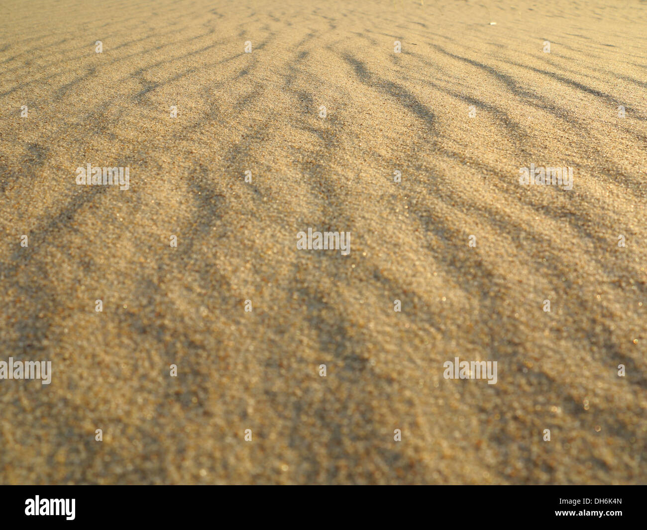 wavy yellow abstract sand texture pattern beach sandy background Stock ...