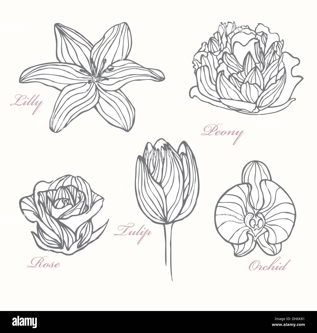 Set of flowers Stock Photo - Alamy