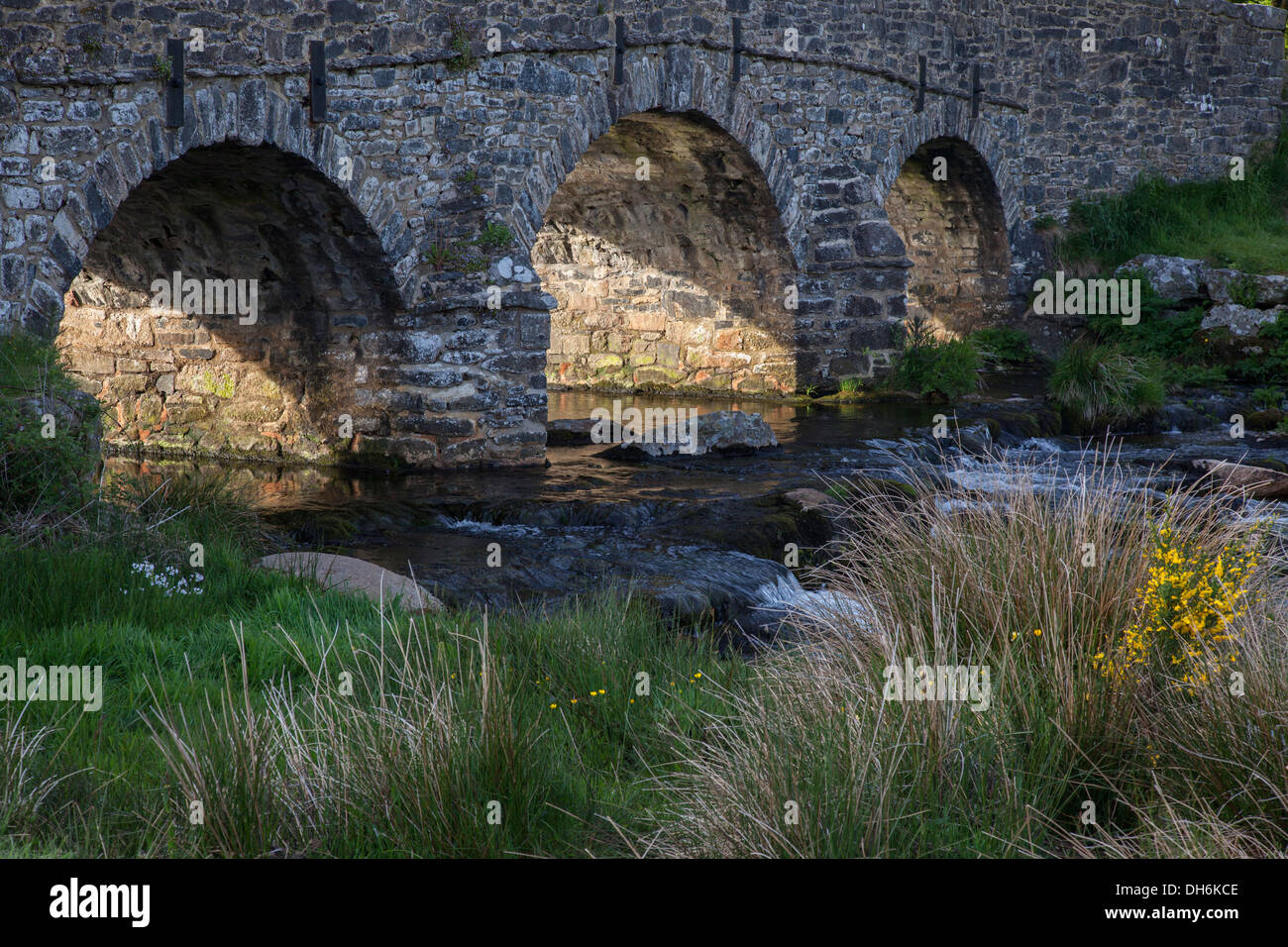 The Bridge in Postbridge, Dartmoor Stock Photo - Alamy