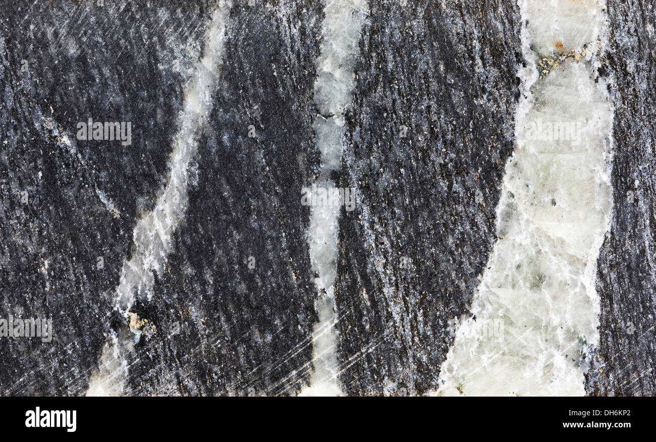 Close up of core slab of Green Schist Ore from gold mining exploration ...