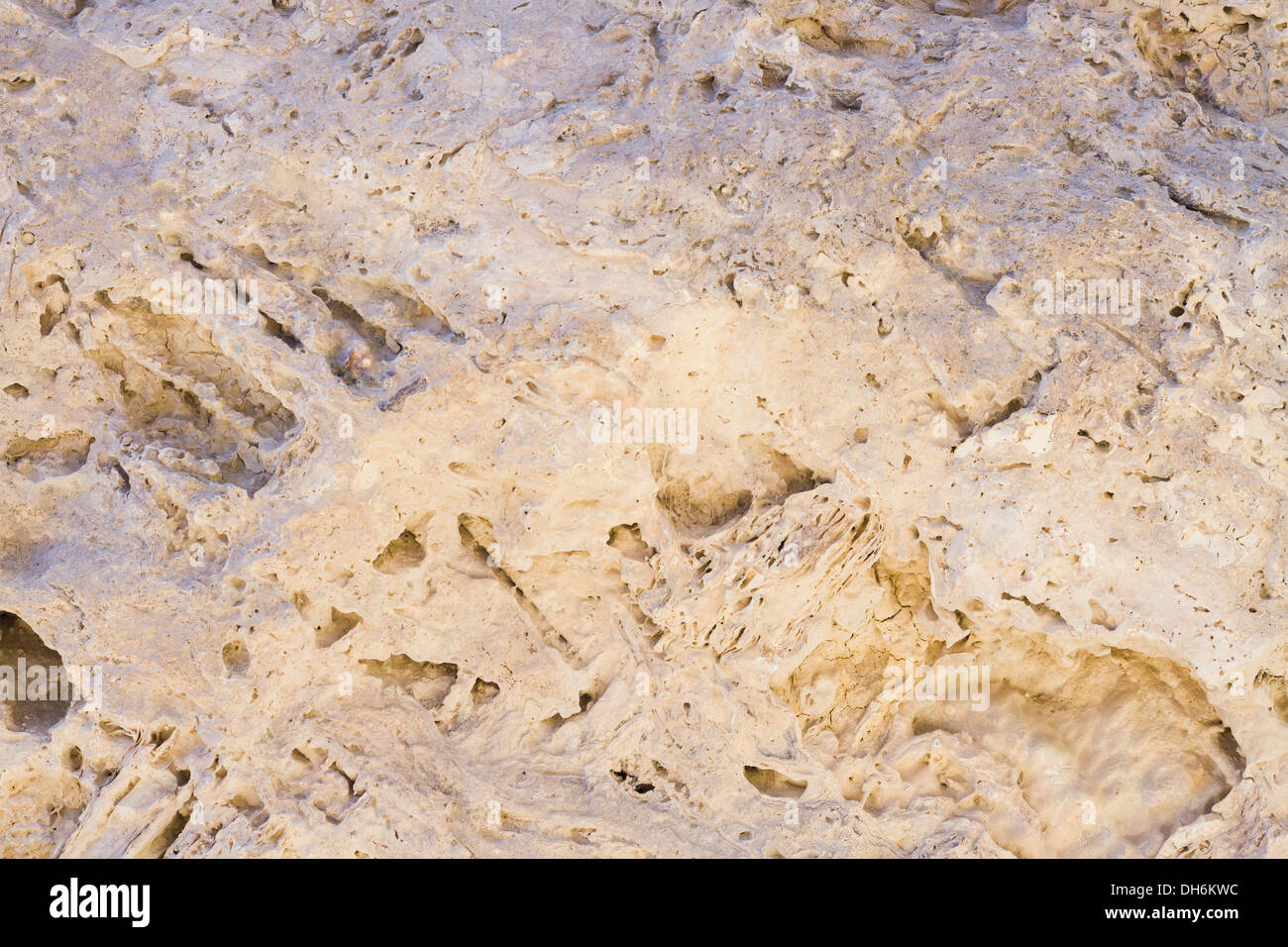 texture of stone at the Dead Sea Stock Photo - Alamy