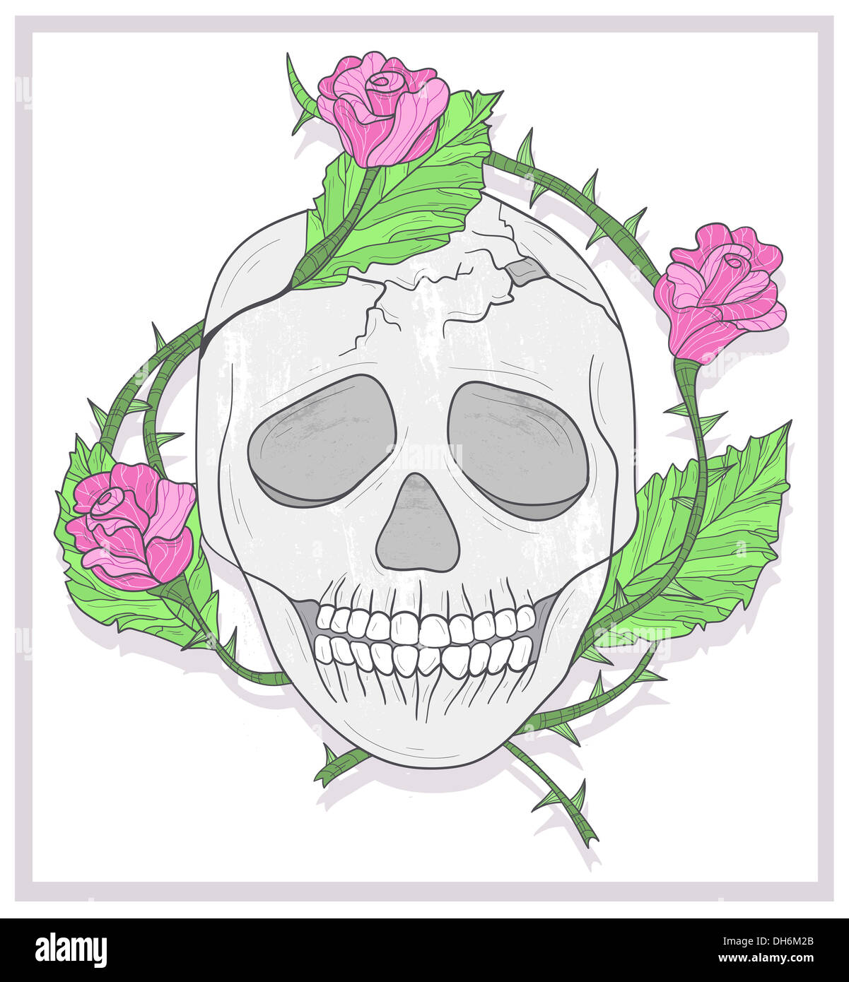 Skull and roses vector illustration Stock Photo - Alamy