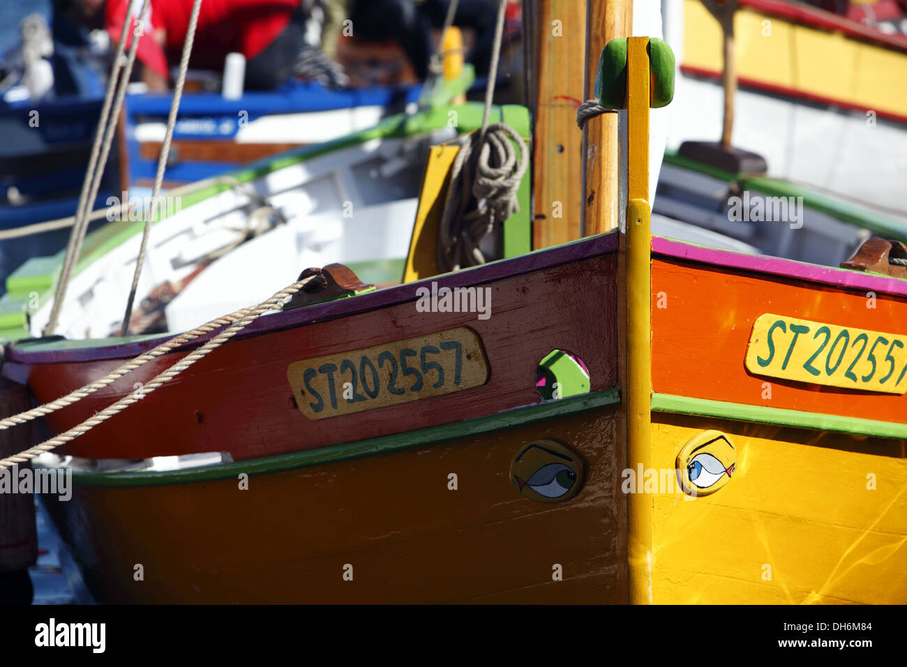 Day maritime traditions of the Port of Sete, gathering lateen sails ...
