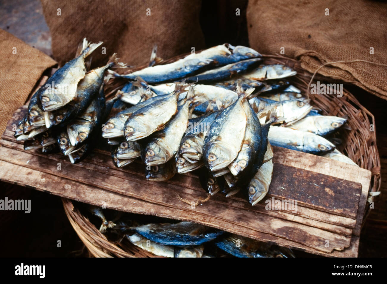 Fish market in goa hi-res stock photography and images - Alamy