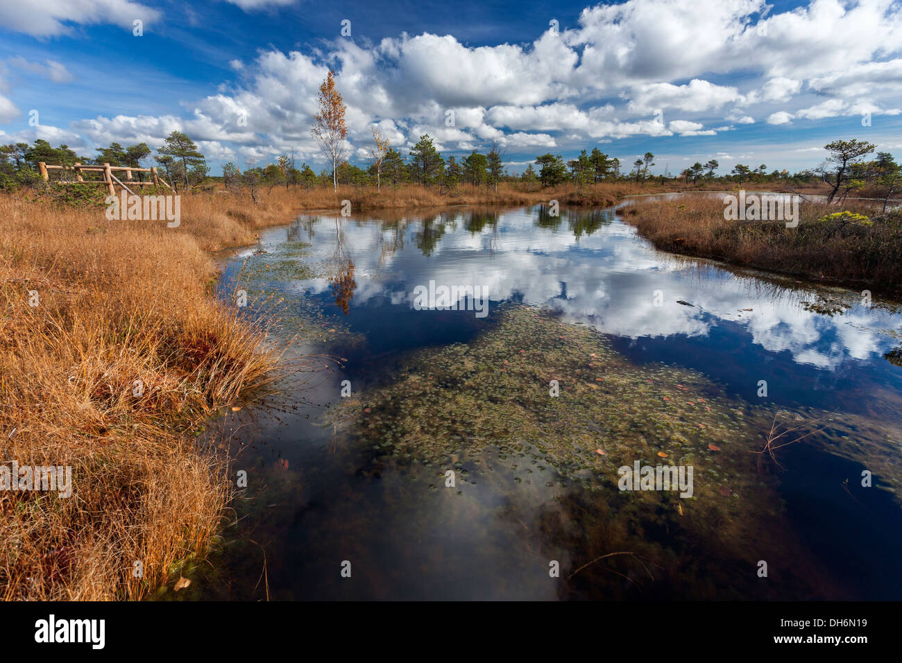 Kemeri hi-res stock photography and images - Alamy