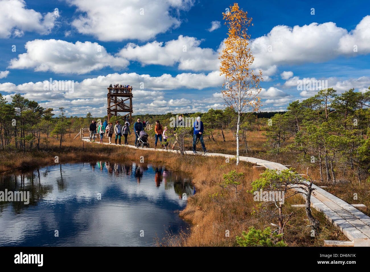 Visitors at Great Kemeri Bog nature trail Stock Photo - Alamy