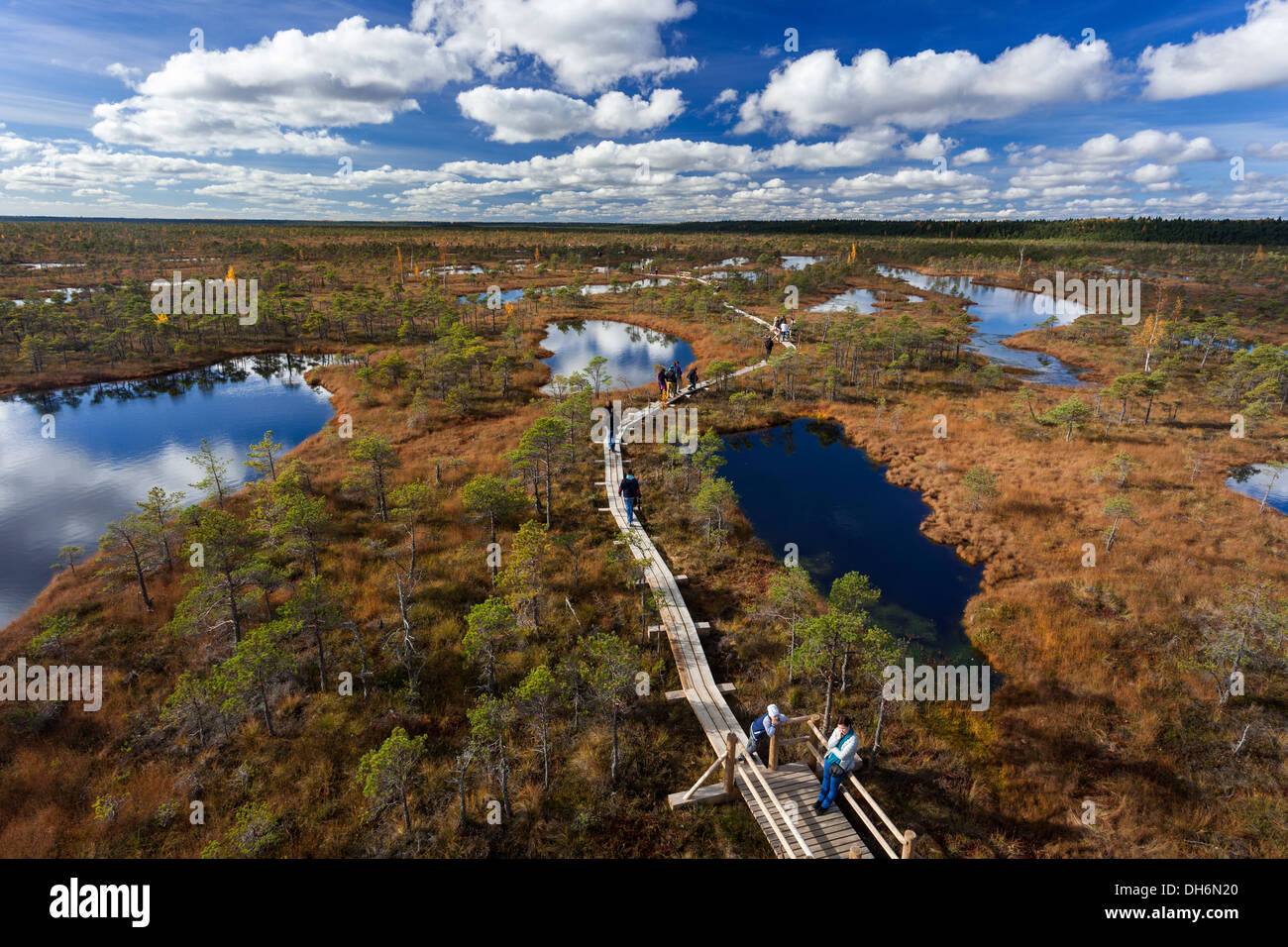 Great Kemeri Bog nature trail Stock Photo - Alamy