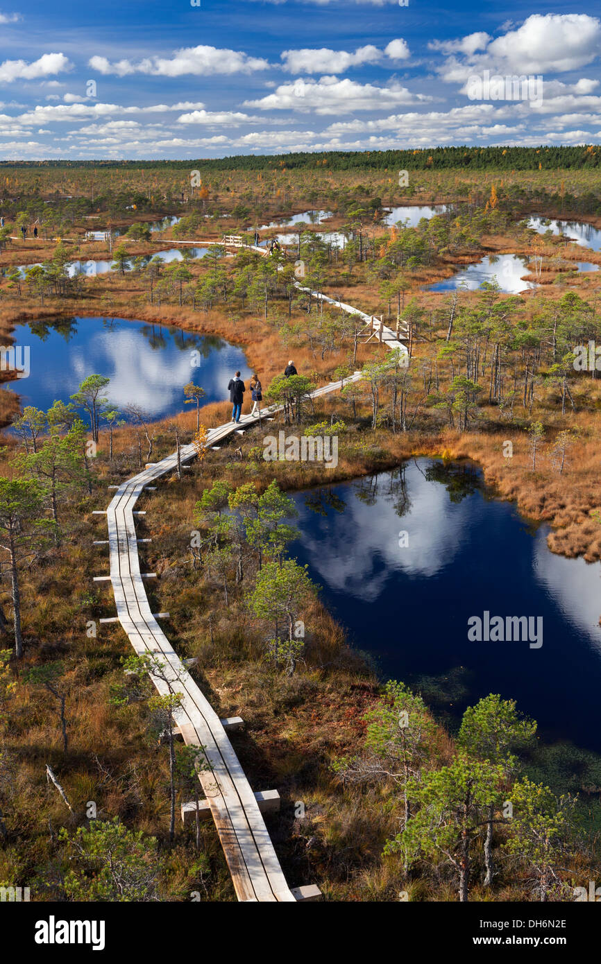 Great Kemeri Bog nature trail Stock Photo - Alamy