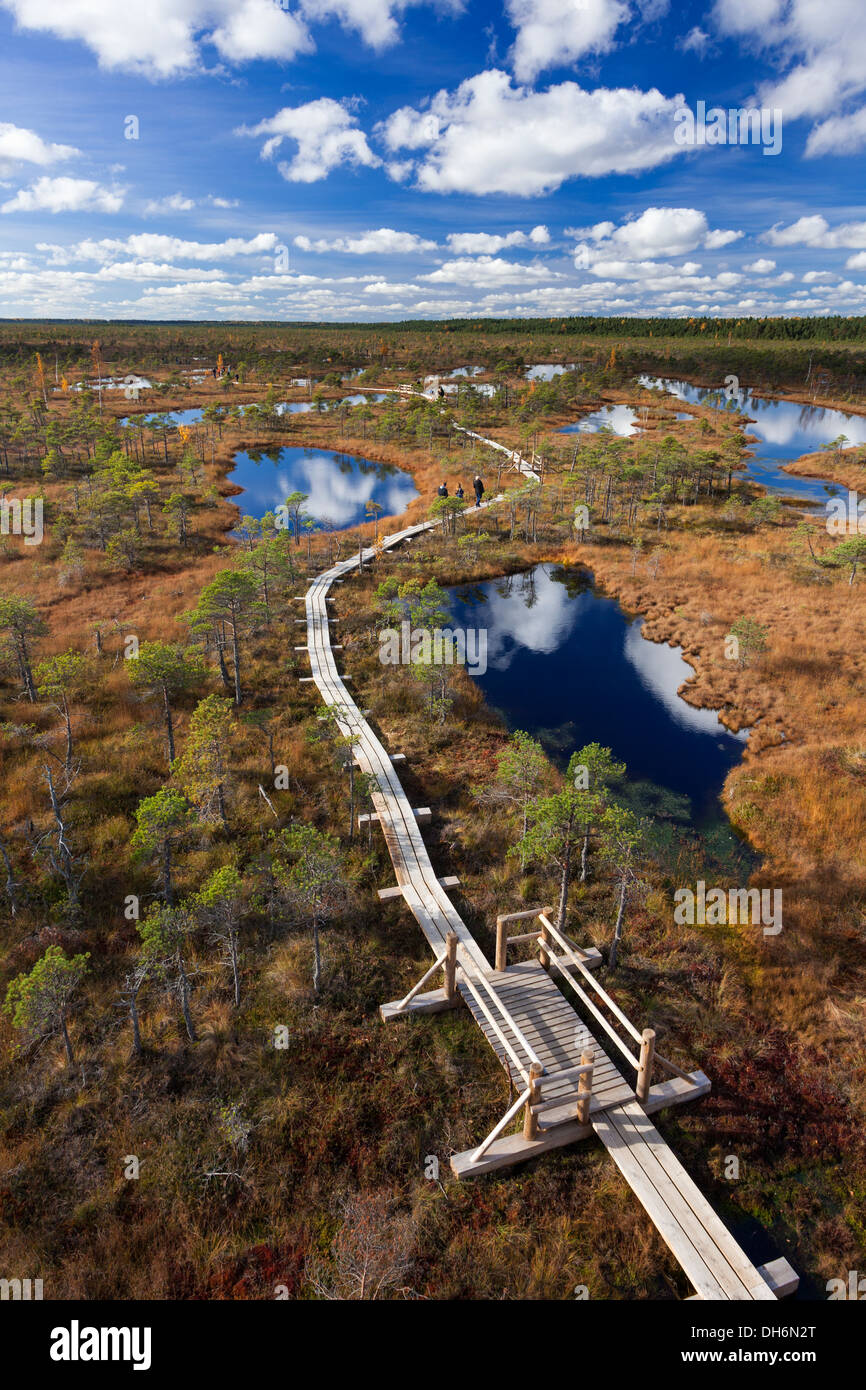 Great Kemeri Bog nature trail Stock Photo - Alamy