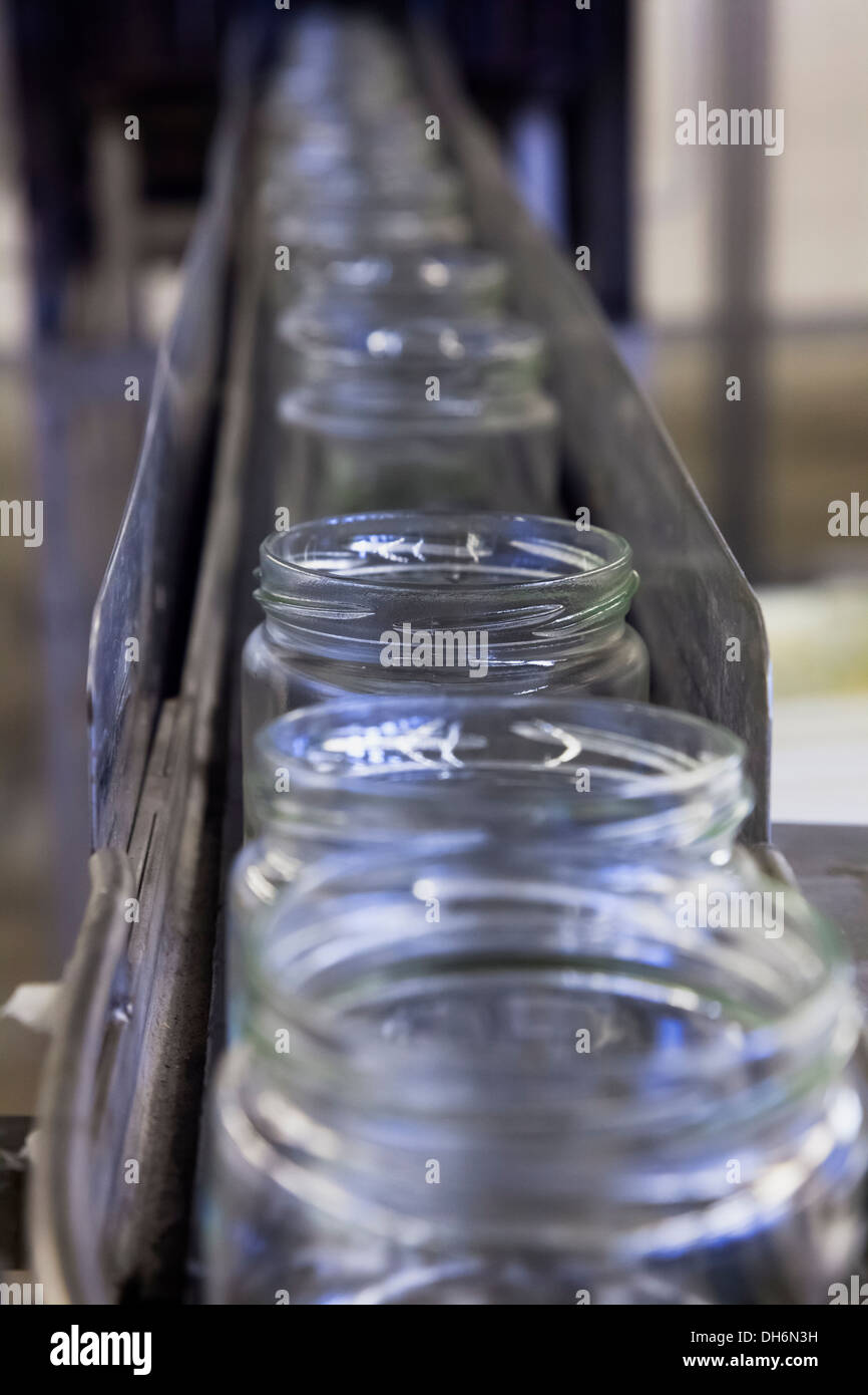Jar transfer conveyor at fish processing factory in Latvia Stock Photo ...