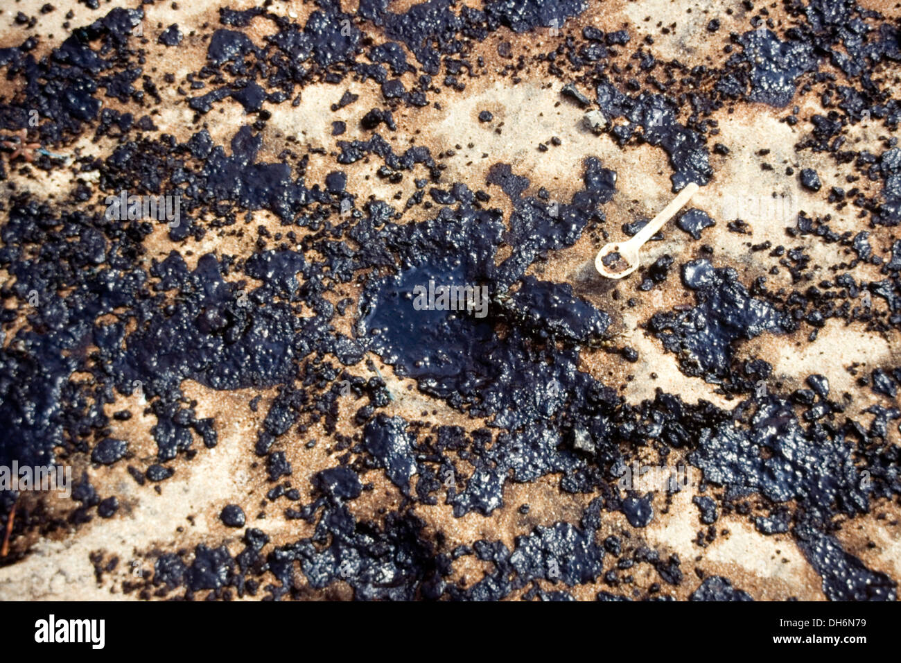 Congealed clumps crude oil pollute hi-res stock photography and images ...