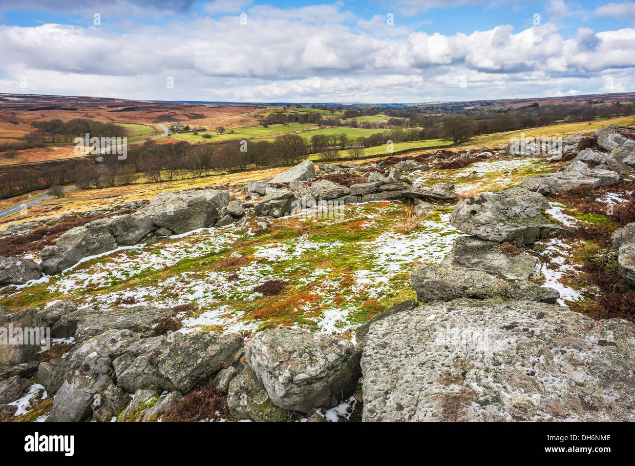 Trees with moss and grasses hi-res stock photography and images - Alamy