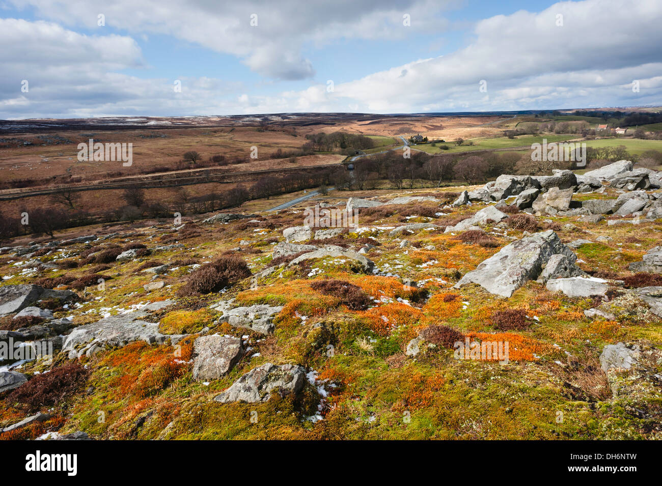 North York Moors with grasses in bloom and Jurassic rocks in spring ...