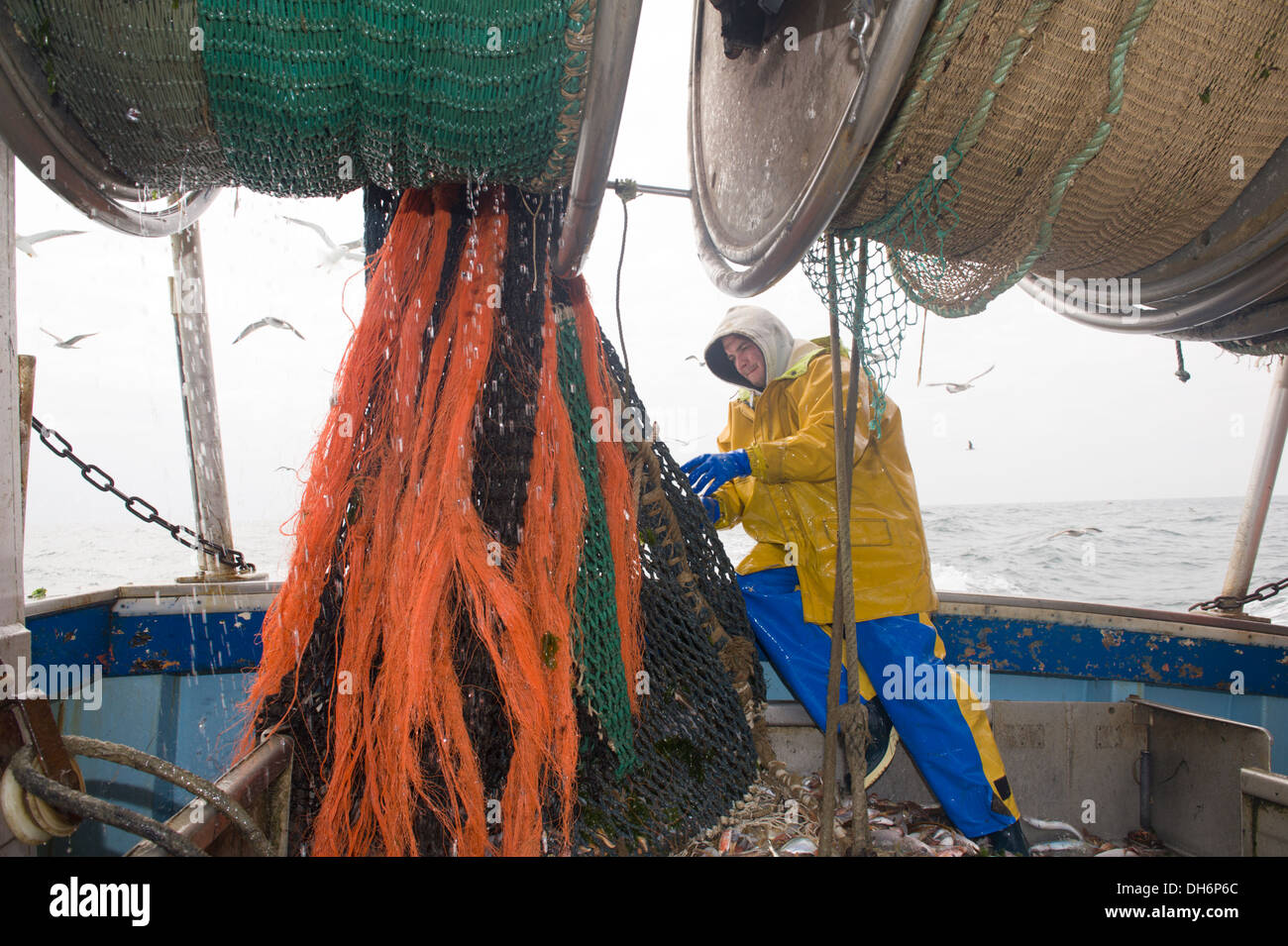 Fisherman releasing fish hi-res stock photography and images - Alamy
