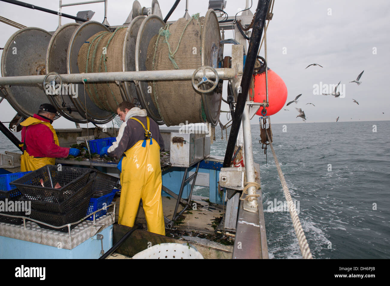 Fishermen on a stern trawler processing fishes Stock Photo - Alamy
