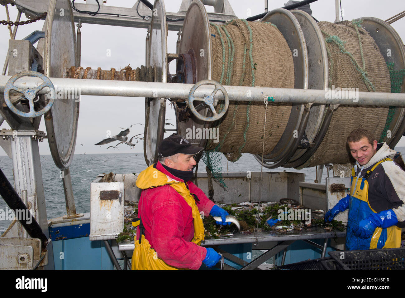 Fishermen on a stern trawler processing fishes Stock Photo - Alamy