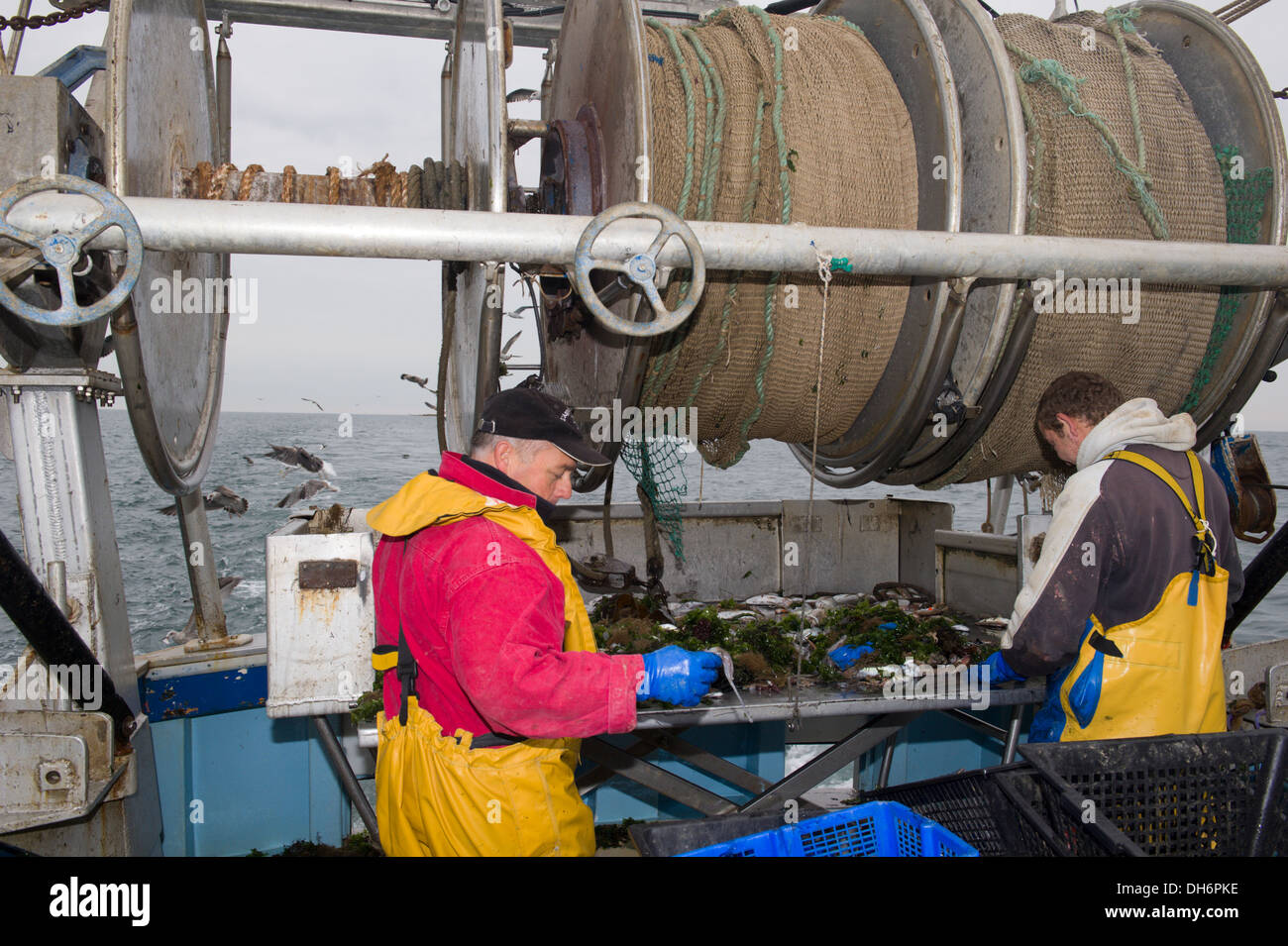 Fishermen on a stern trawler processing fishes Stock Photo - Alamy