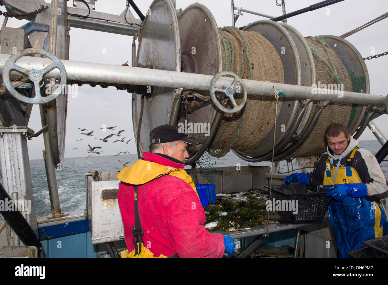 Fishermen on a stern trawler processing fishes Stock Photo - Alamy