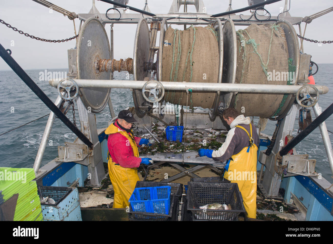 Fishermen on a stern trawler processing fishes Stock Photo - Alamy