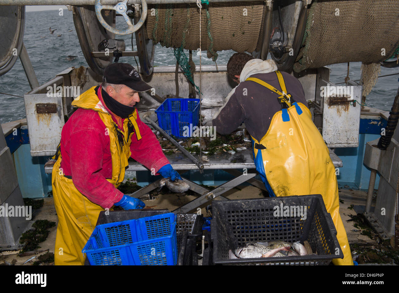 Fishermen on a stern trawler processing fishes Stock Photo - Alamy