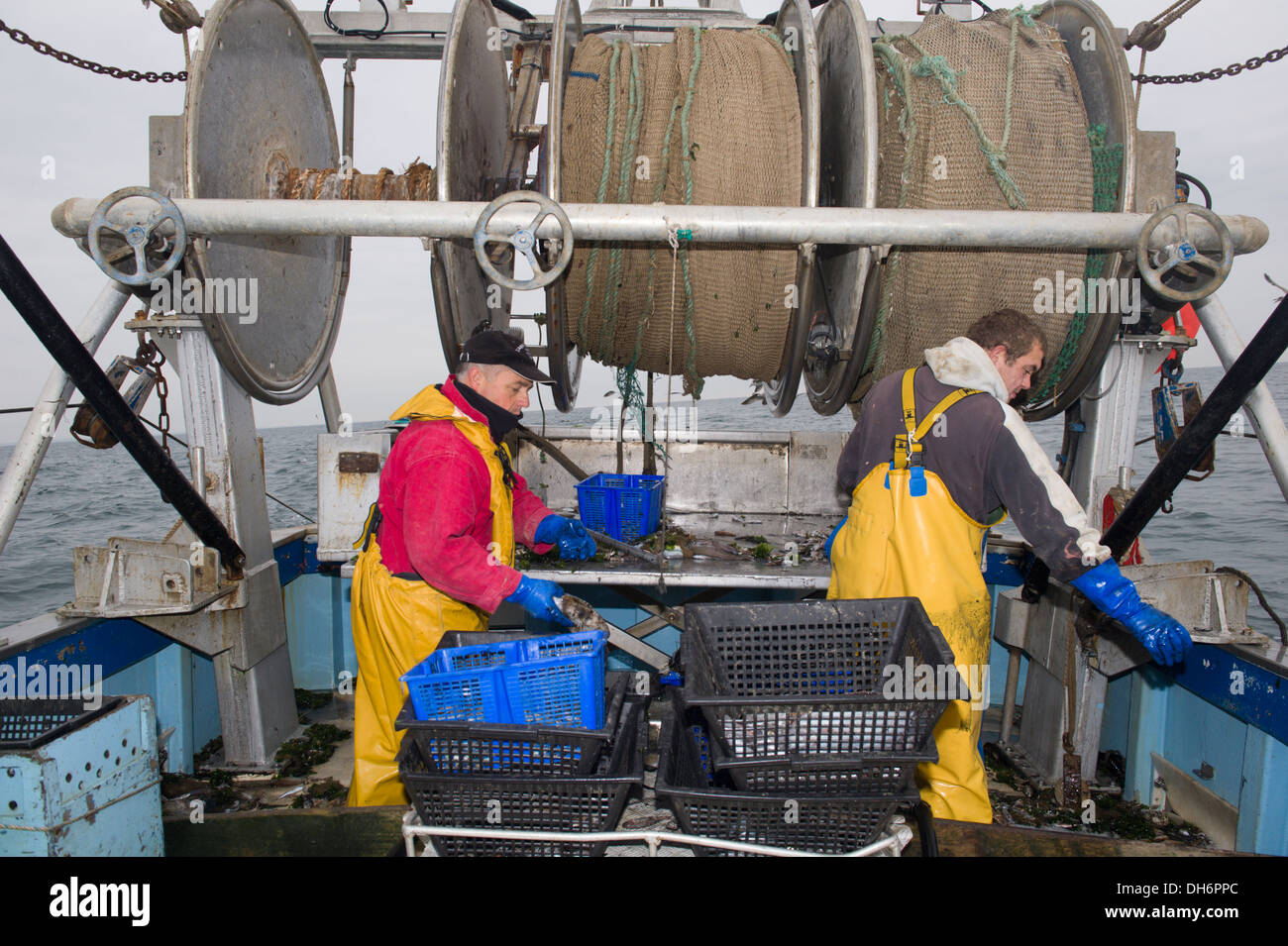Fishermen on a stern trawler processing fishes Stock Photo - Alamy