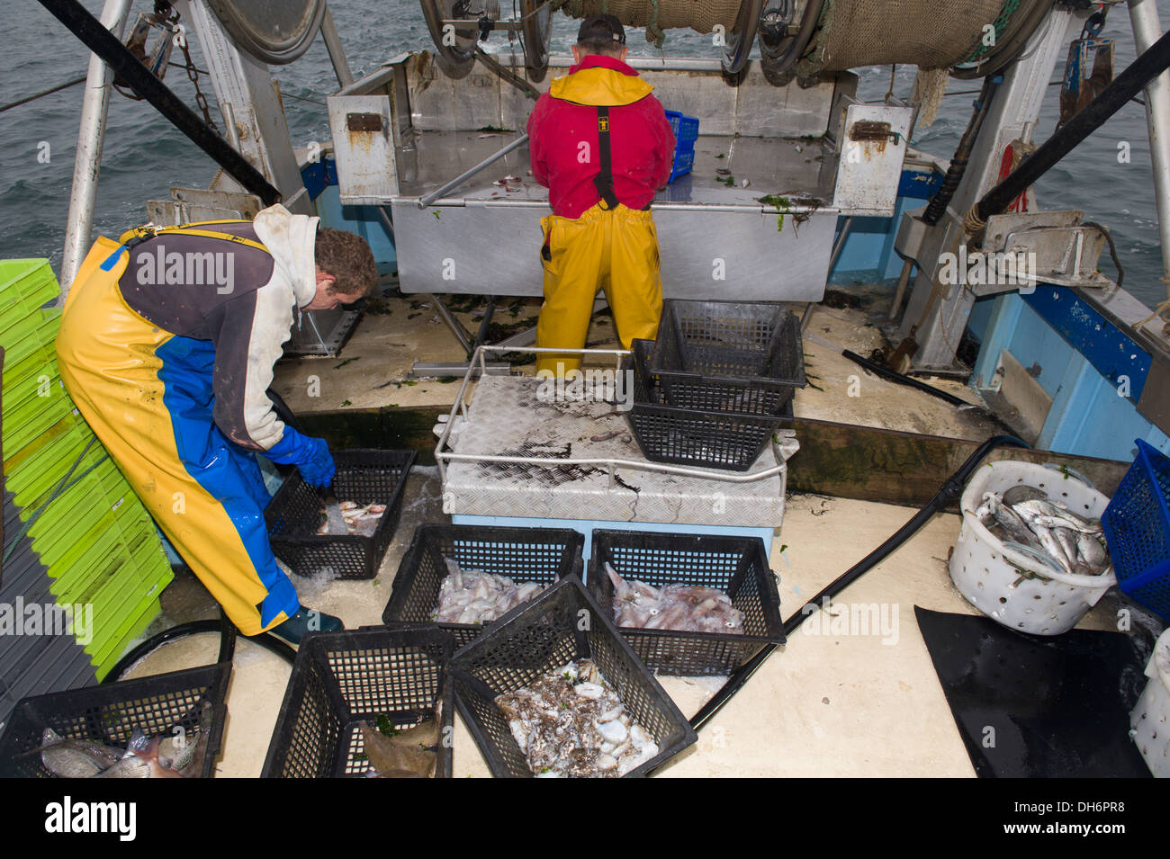 Fishermen on a stern trawler processing fishes Stock Photo - Alamy