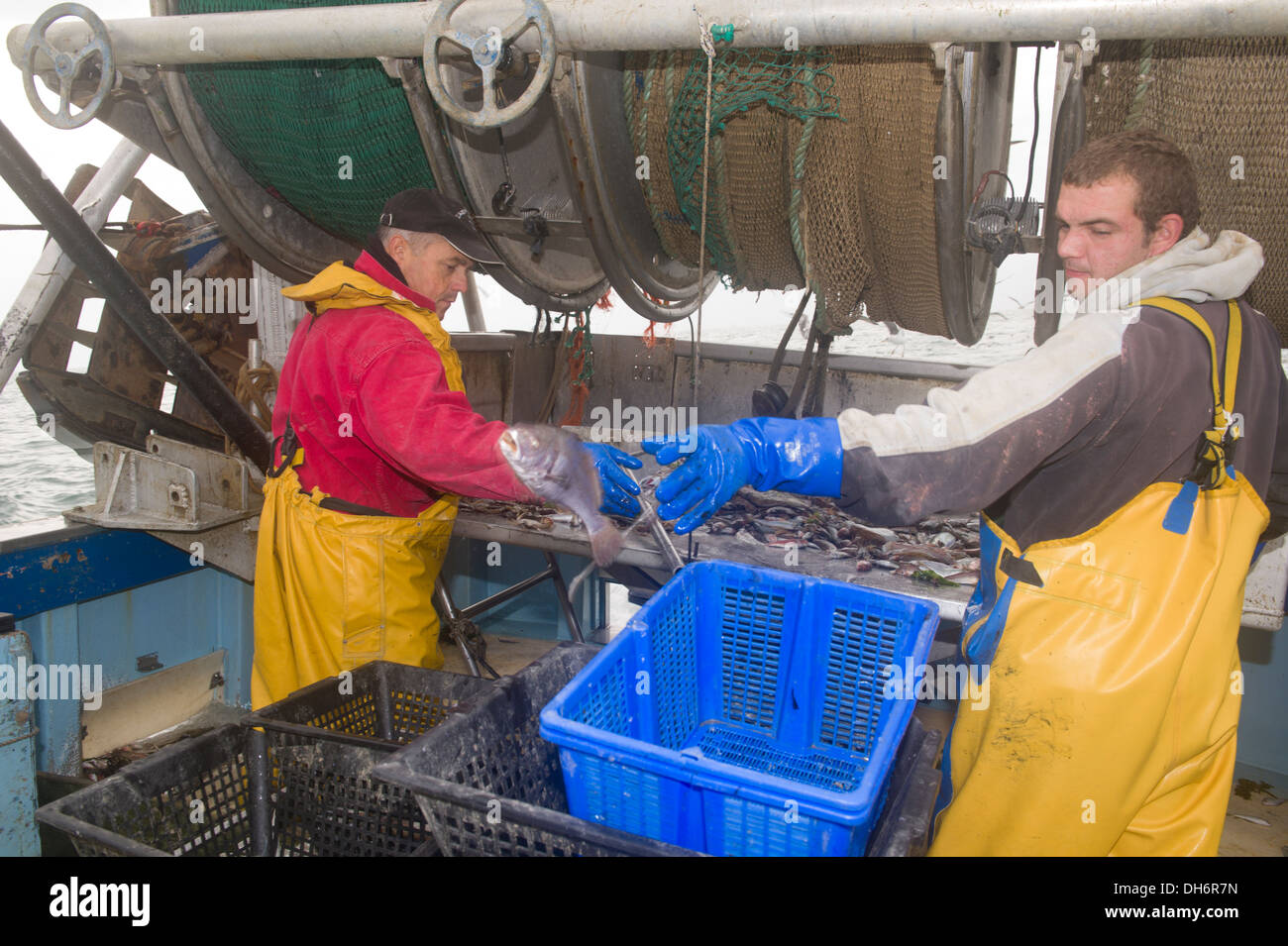 Fishermen on a stern trawler processing fishes Stock Photo - Alamy