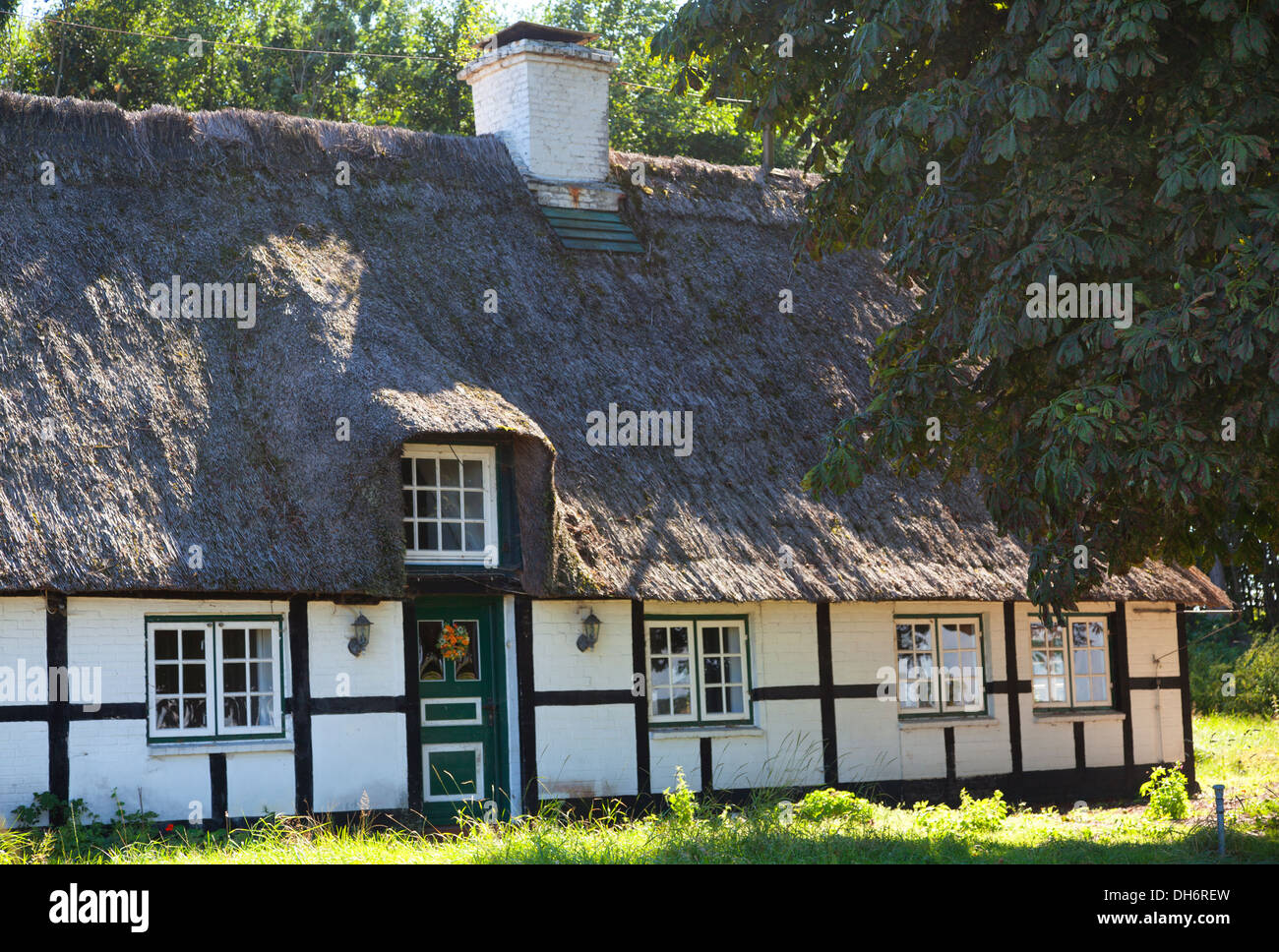 thatched house in the village of sieseby, schleswig-holstein,germany ...