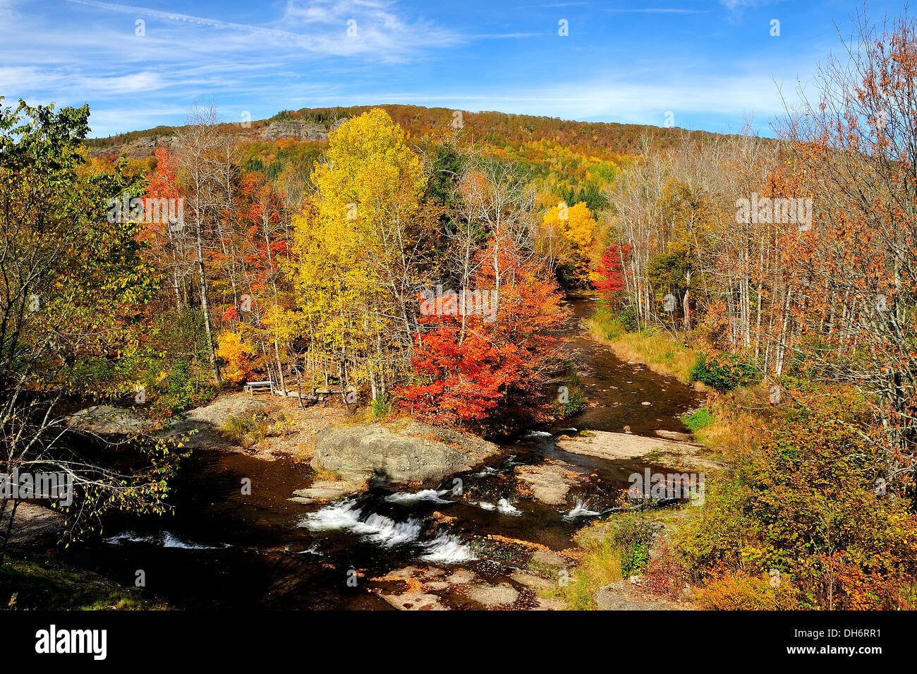 Fall colored leaves adorn the eastern New Brunswick landscape in ...