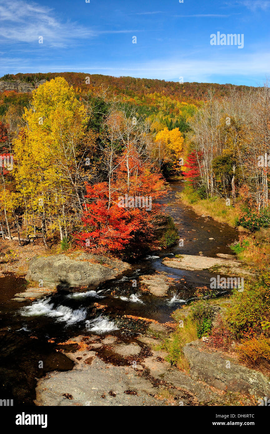 A vertical autumn landscape image of the deciduous forest of eastern ...