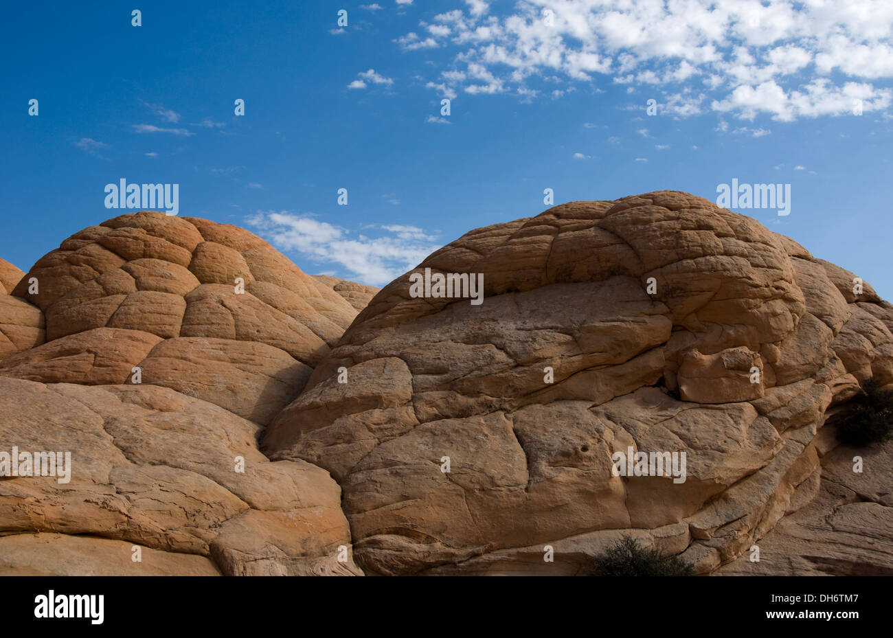 The wave rock formation in coyote buttes,USA Stock Photo - Alamy