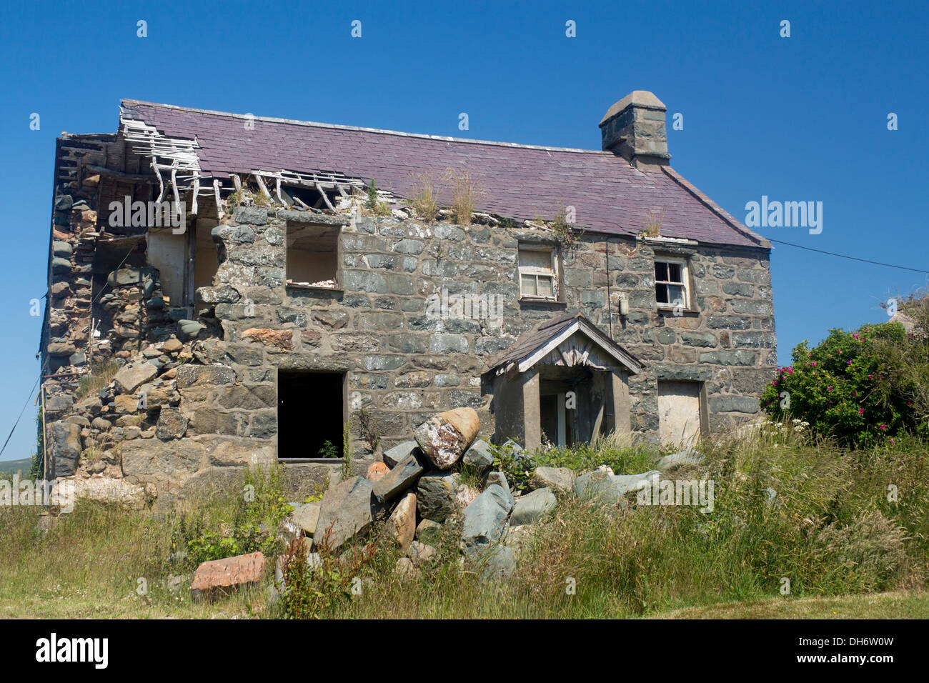 Derelict abandoned stone farmhouse house Porth Ysgo Gwynedd North Wales ...