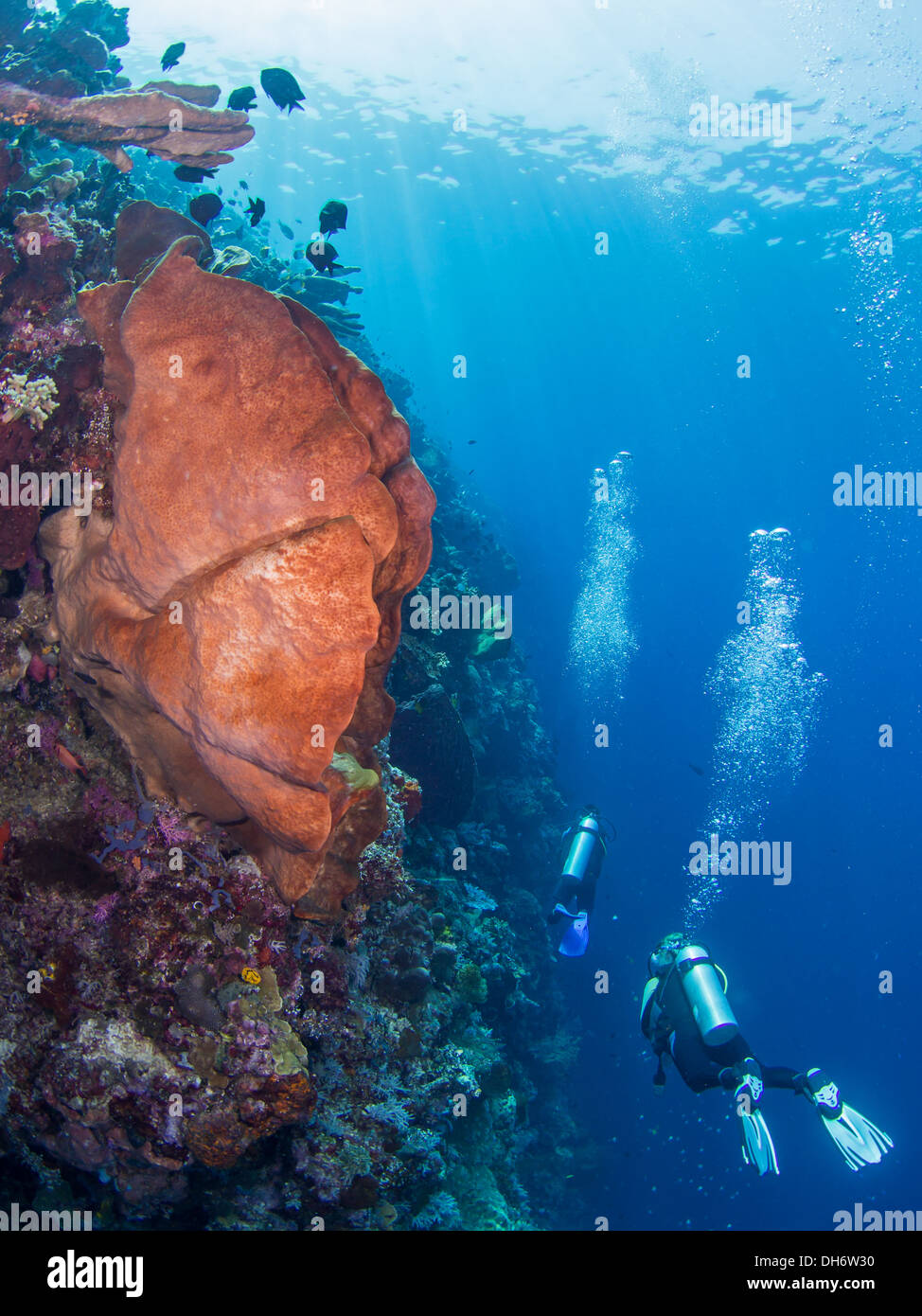 Wall dive hi-res stock photography and images - Alamy