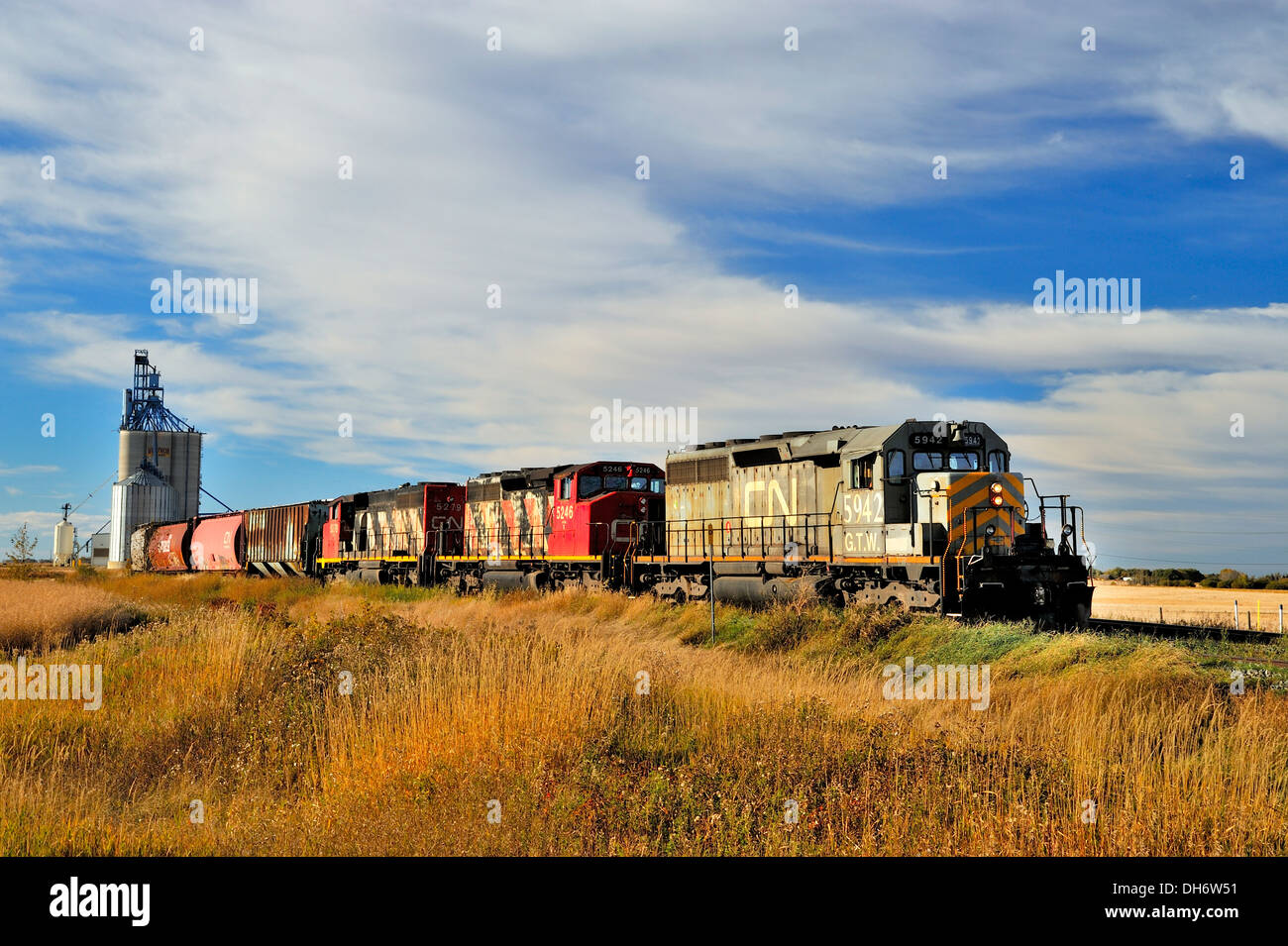 A Canadian National freight rain loading grain from a grain storage ...