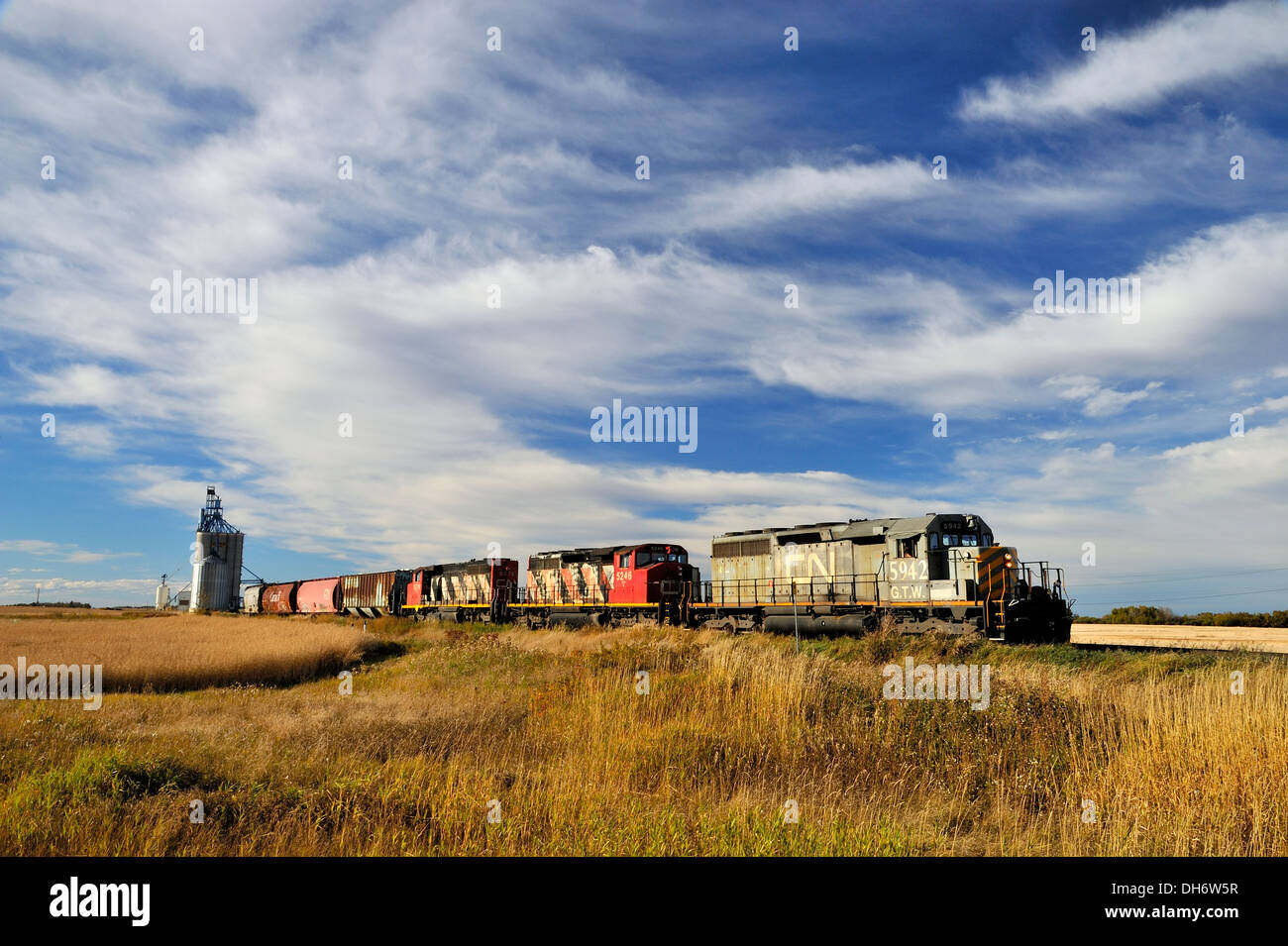 A Canadian National freight rain loading grain from a grain storage ...